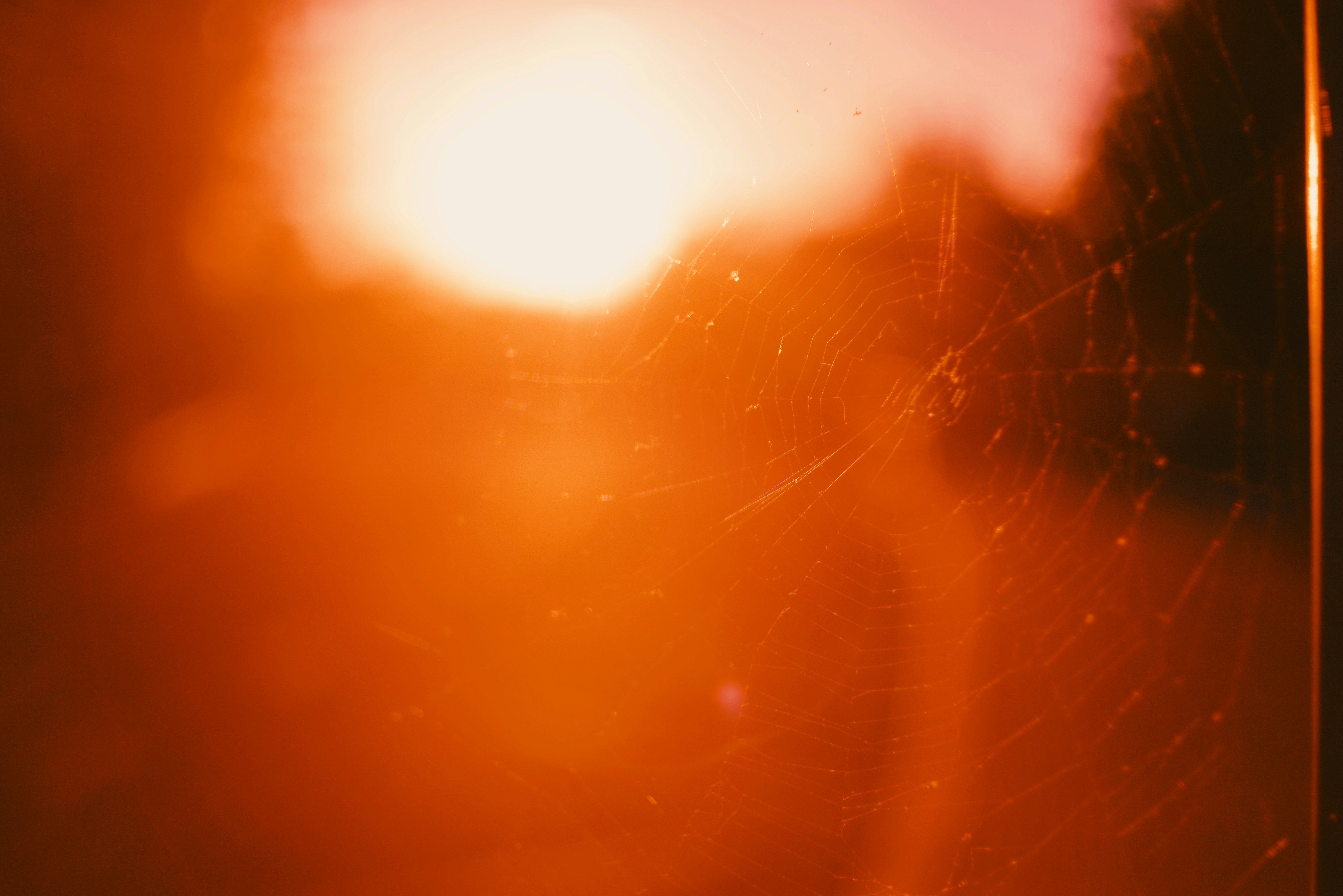 Solarflare on Glass: A Warm Web of Light in an Abstract Frame