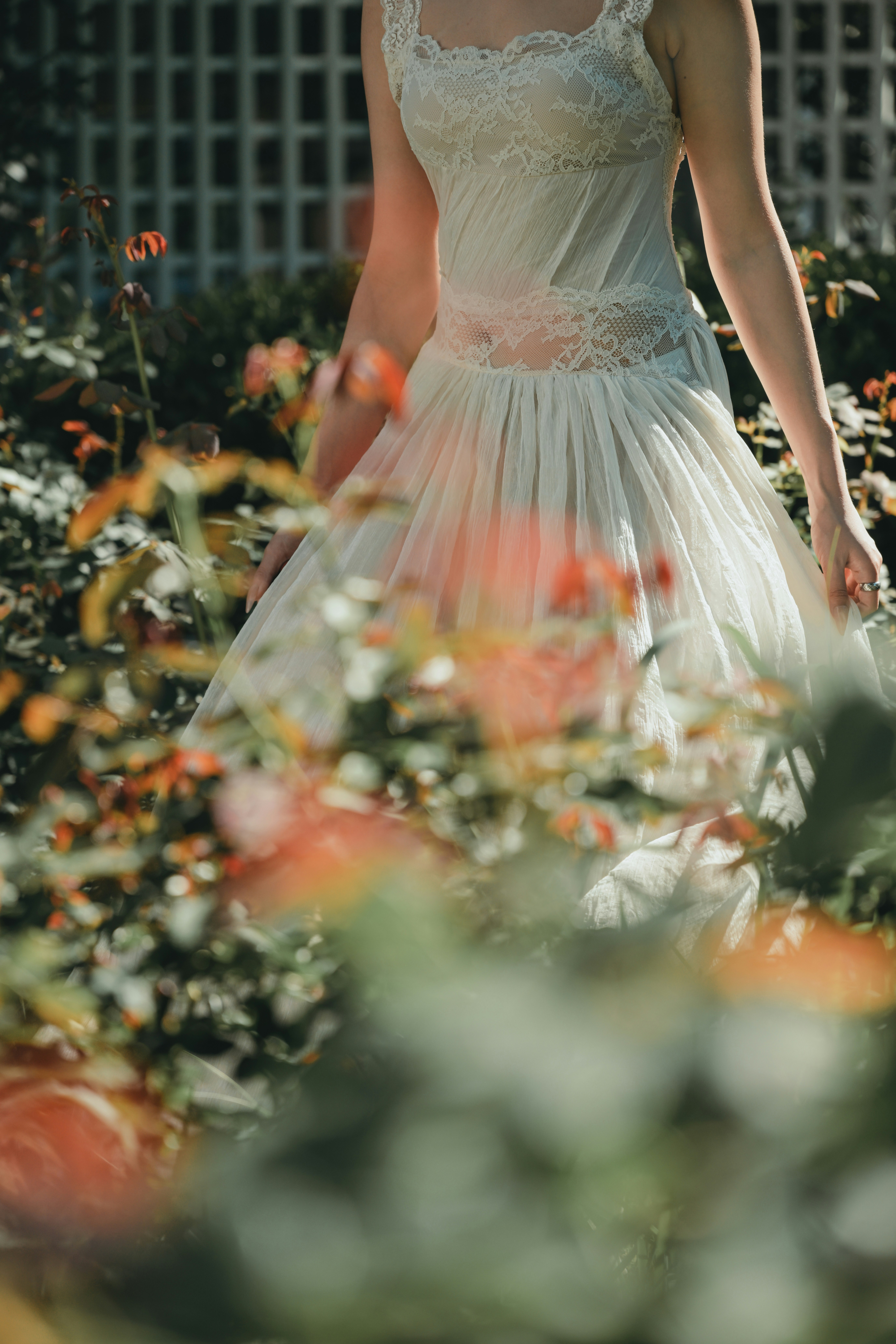 Whispering Lace in a Sunlit Garden
