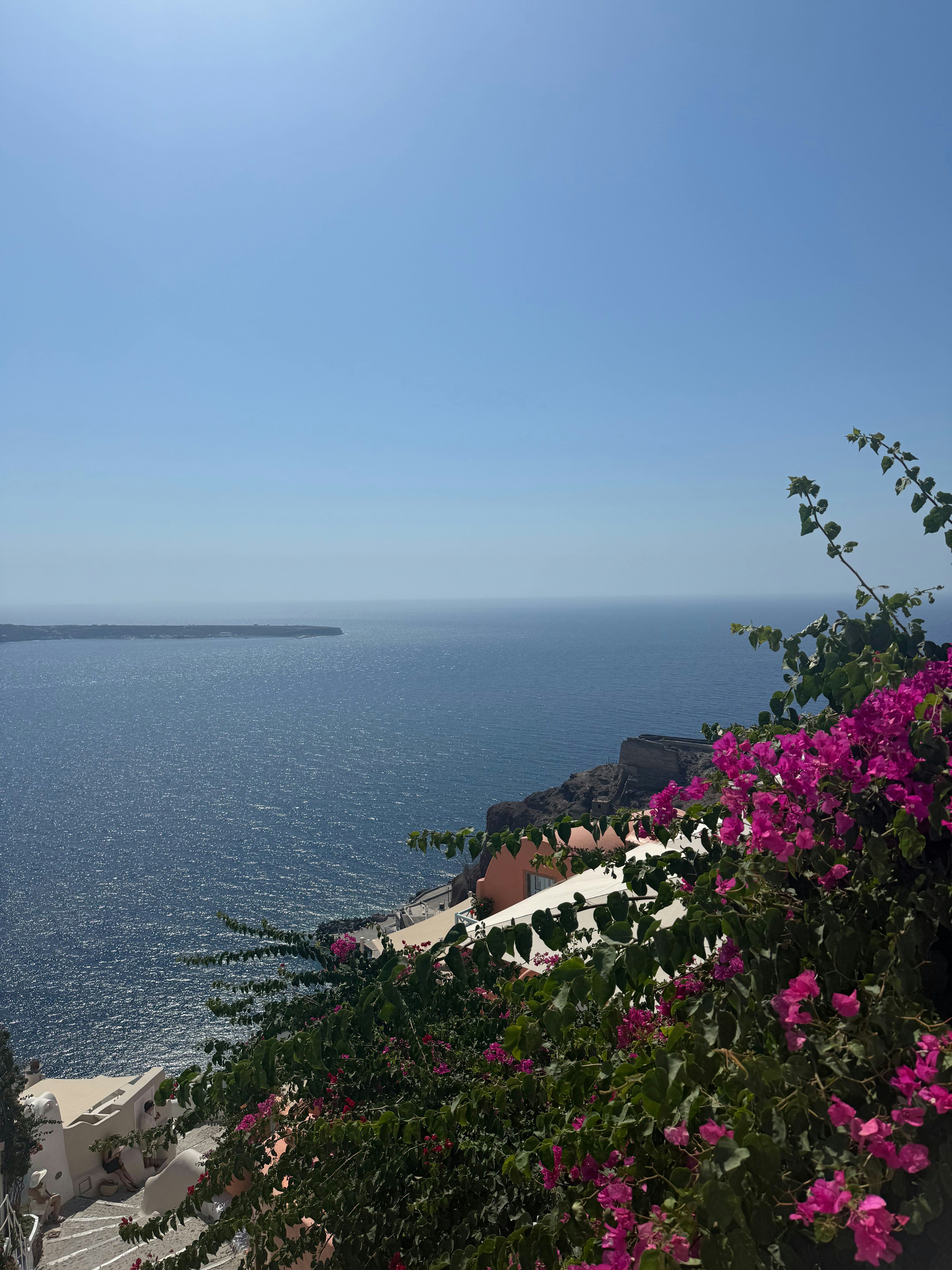 Cliffside Blooms Over a Sea-Blue Horizon