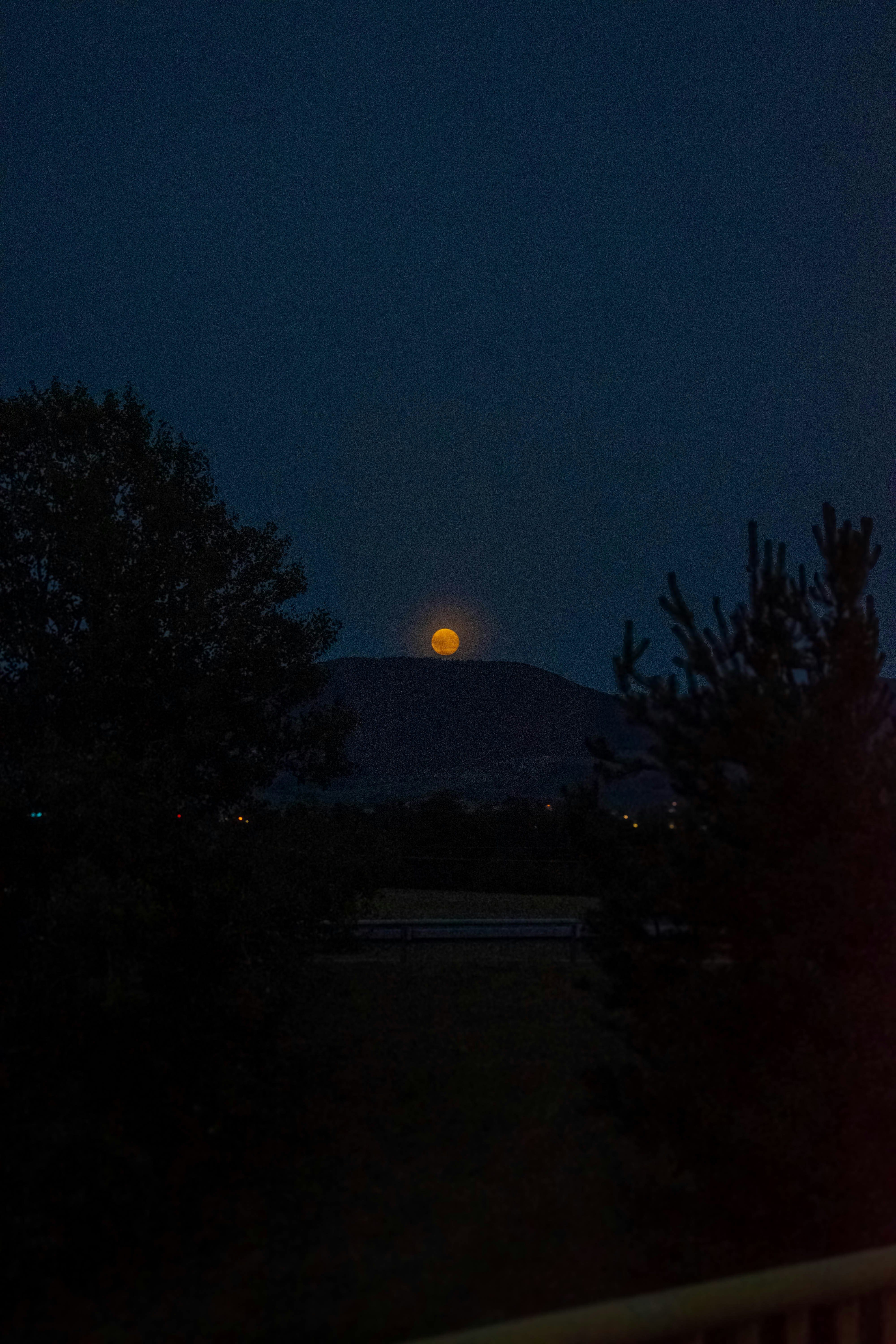 Lunar Edge: Moonrise Above the Quiet Ridge