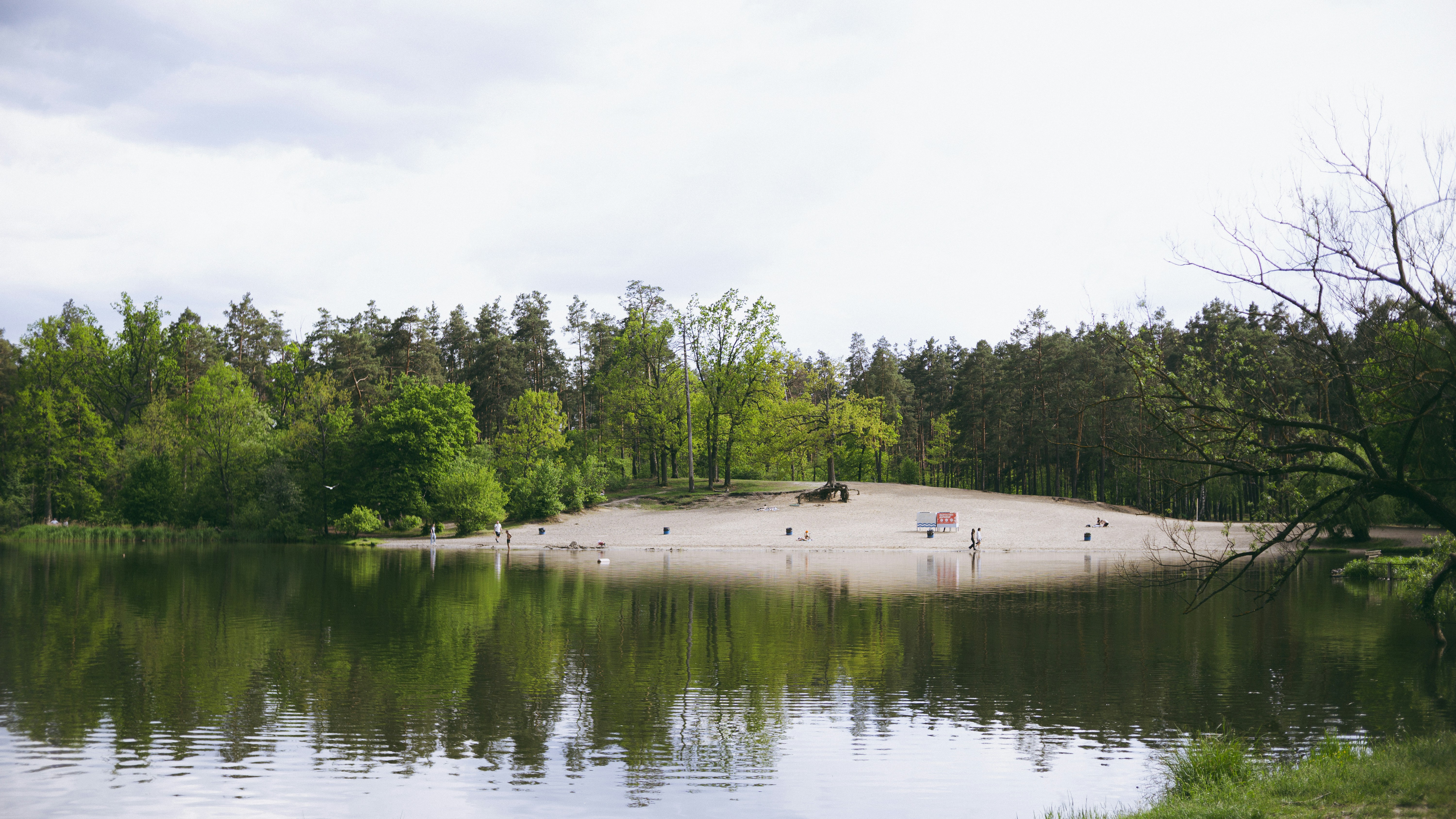 Quiet Lakeside Clearing: A Sand Shore Framed by Green Canopy