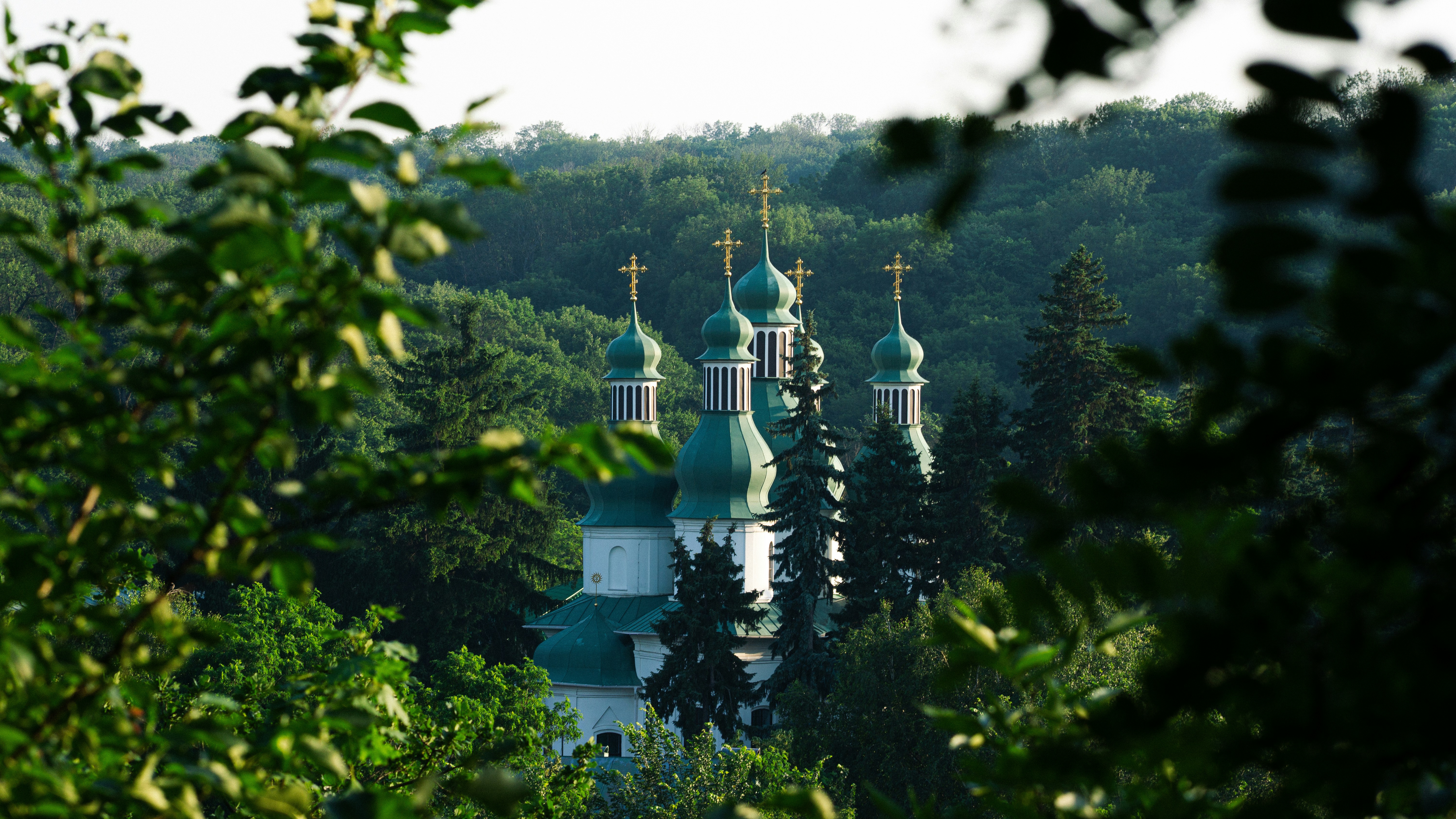 Turquoise-domed cathedral peeks through dense evergreen trees, framed by foliage and soft daylight in a tranquil forest setting.