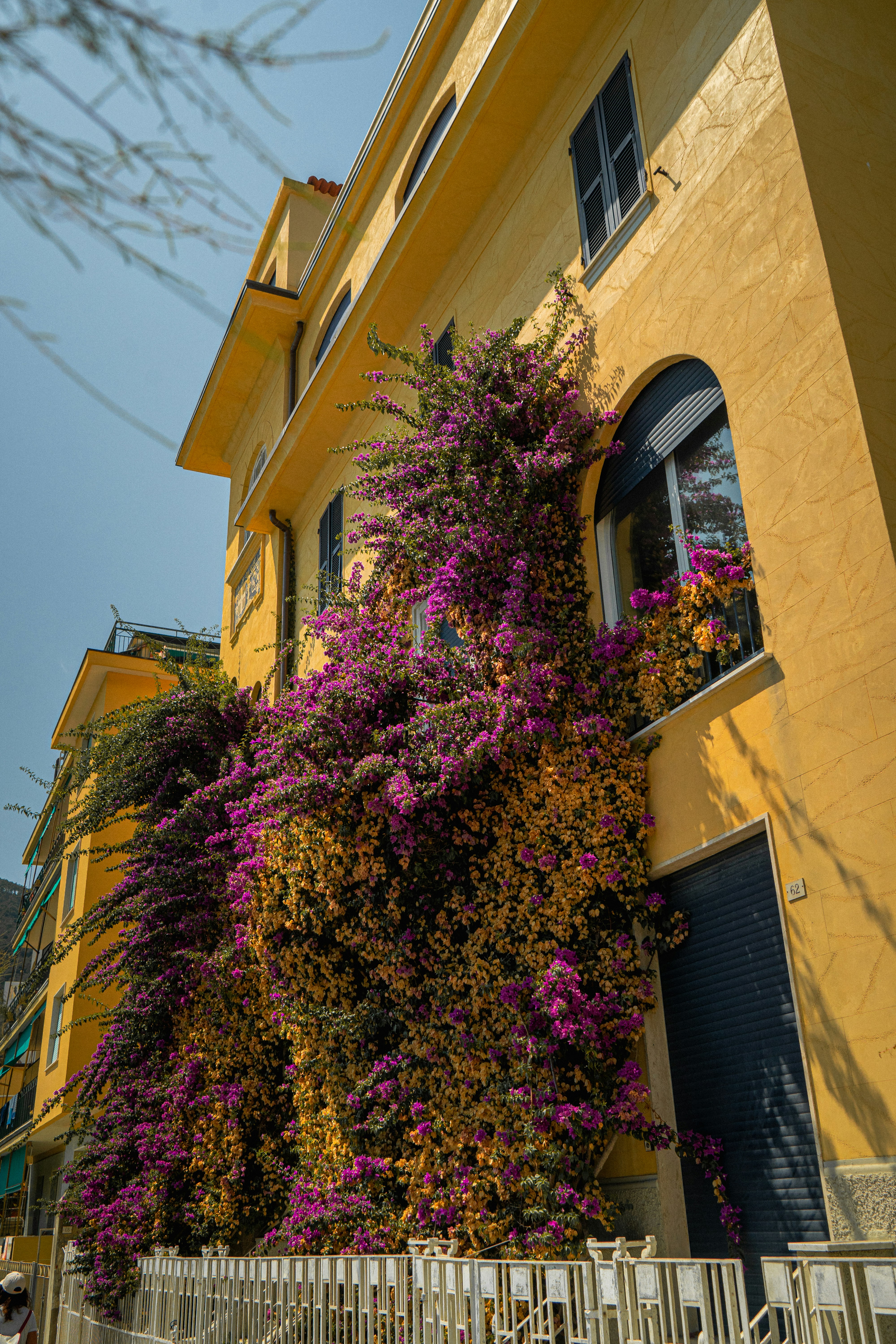 Golden Façade in Bloom