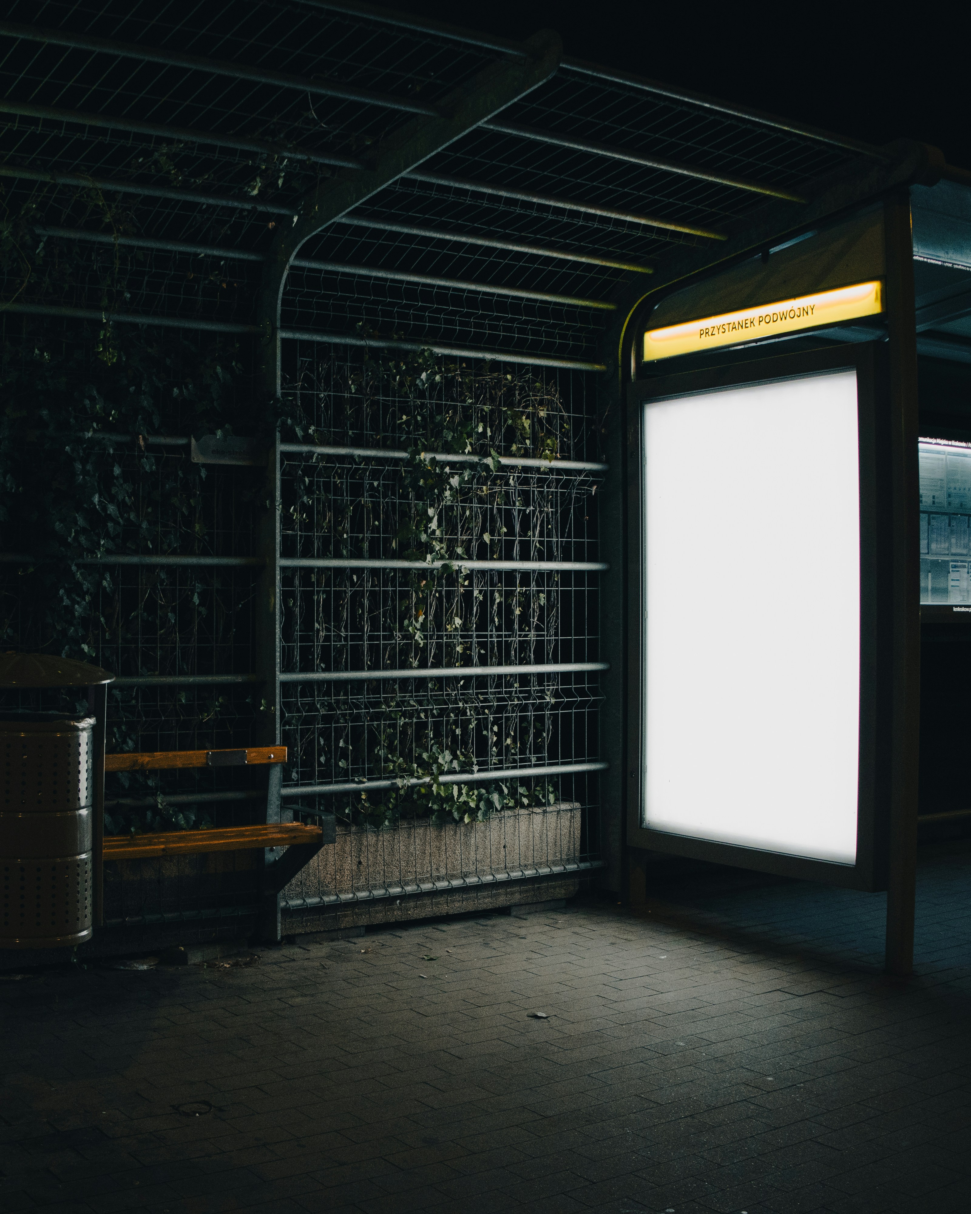 Vacant Platform Twilight: A Silent Bus Stop Painted in Shadow