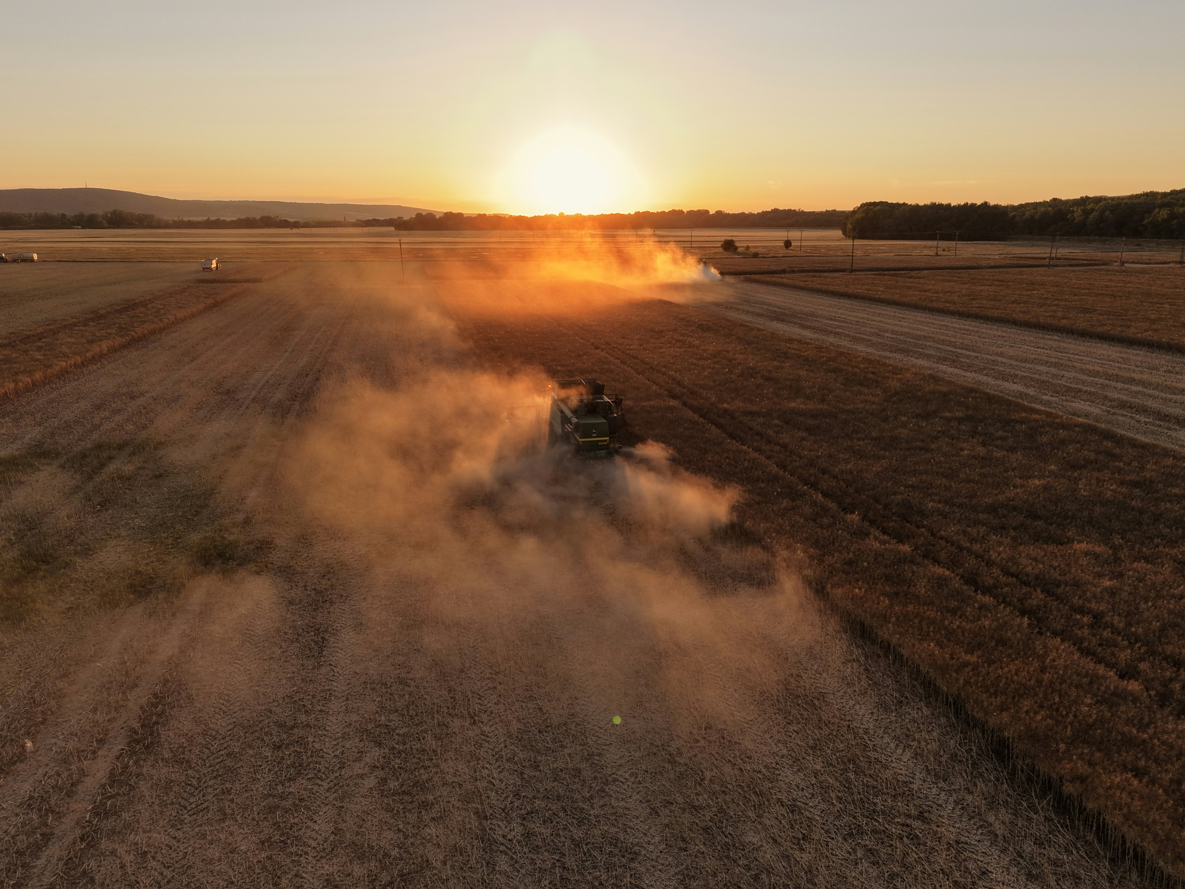 Sunlit Plume: A Dusty Chase Across Harvested Fields