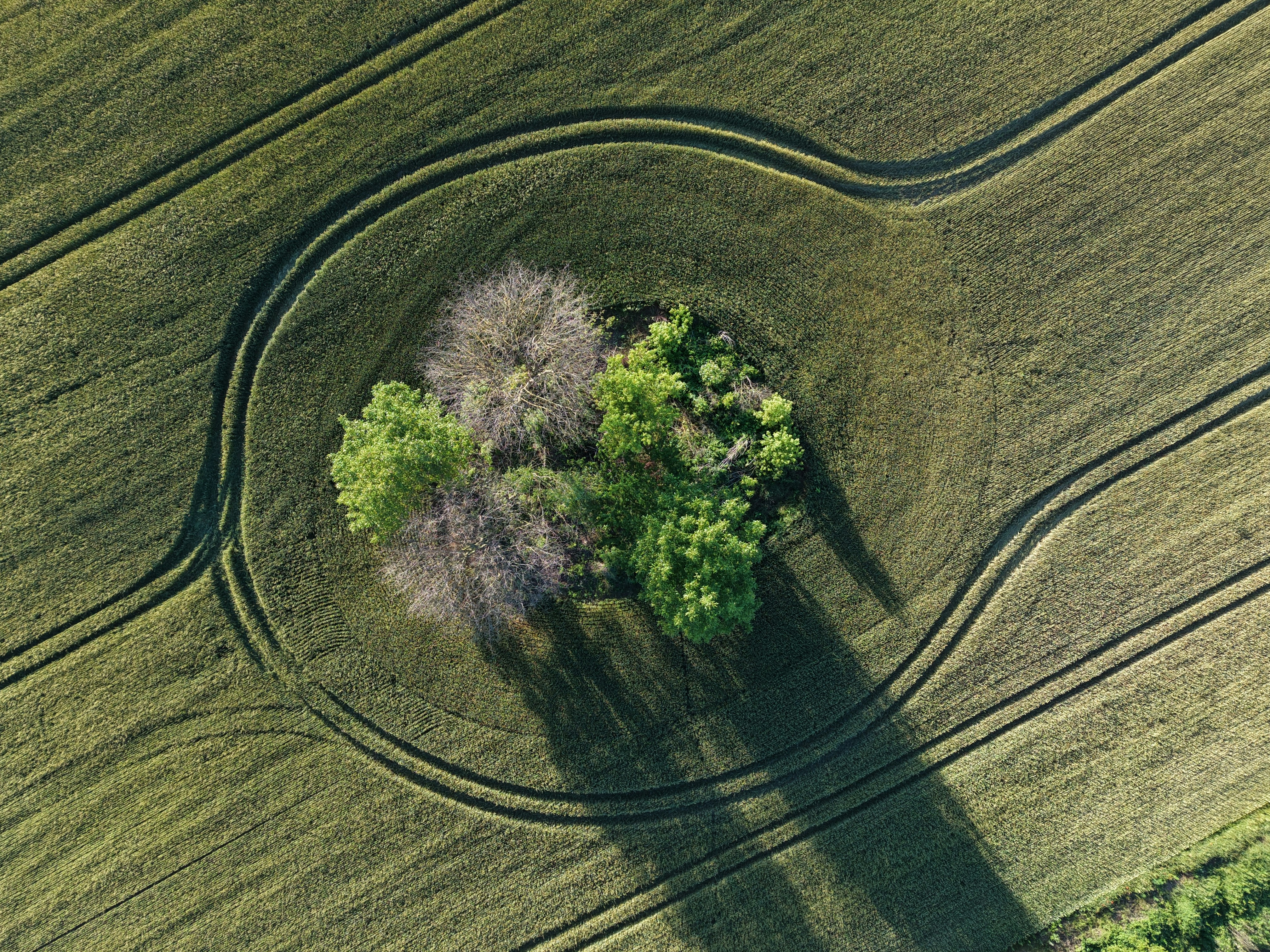 Coiled Terraces Embrace a Verdant Island
