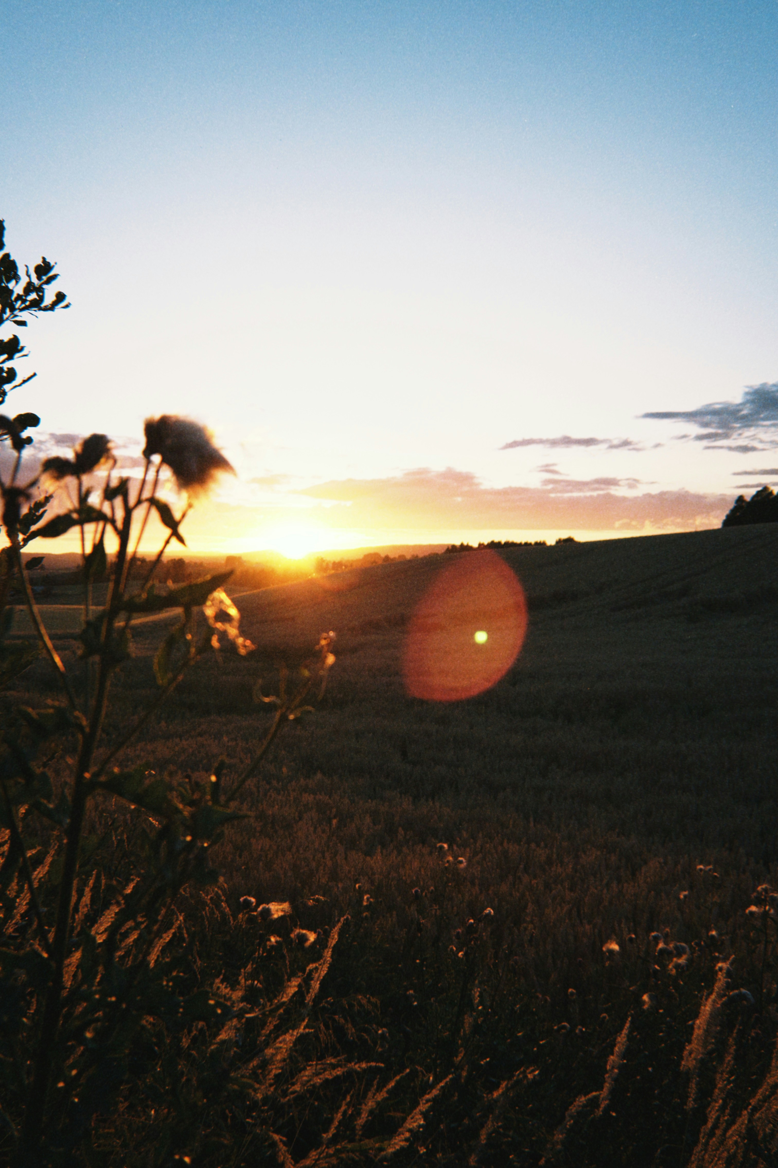 Sunrise over a Quiet Field with Lens Flare