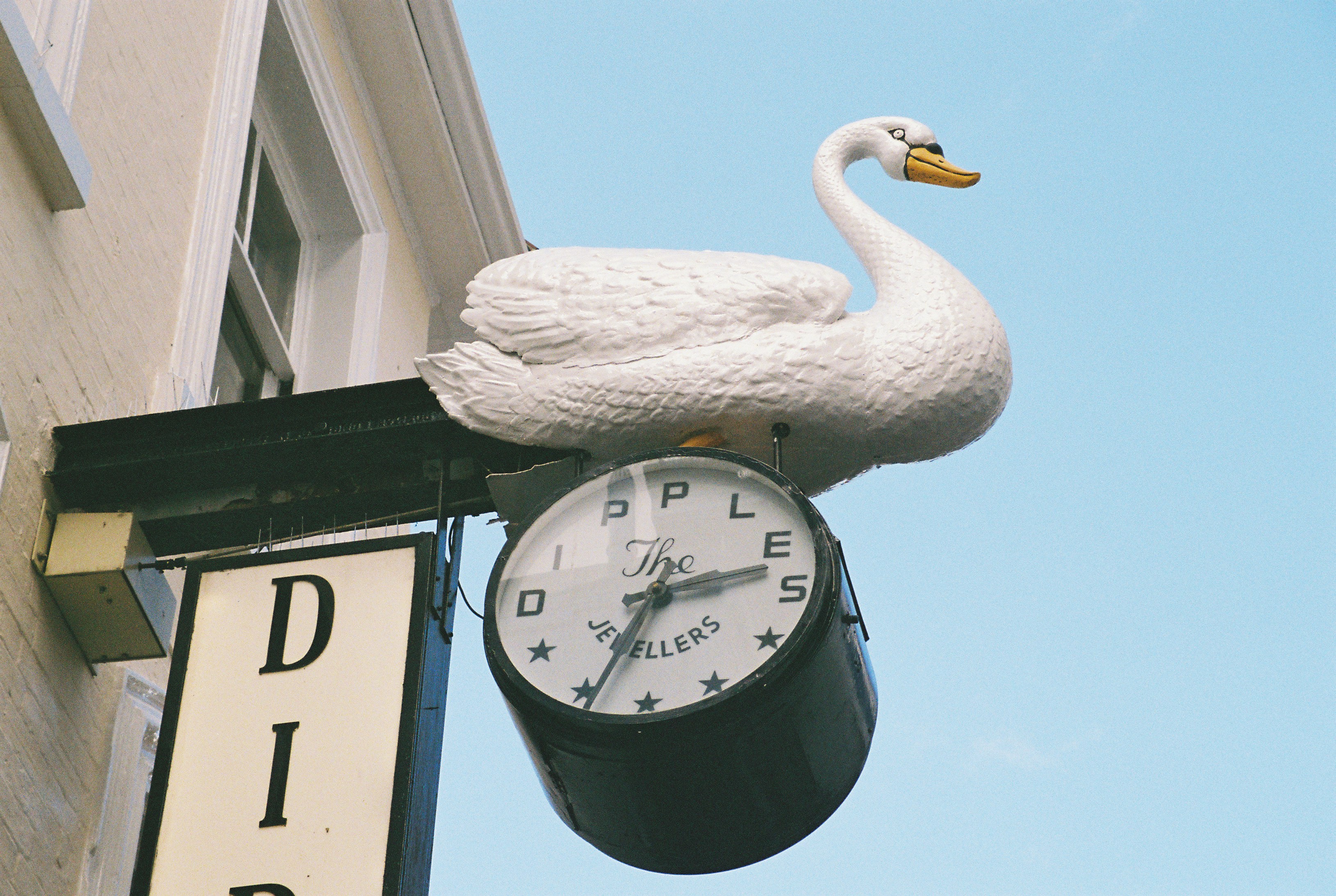 Floating Swan Over a Vintage Diner Sign