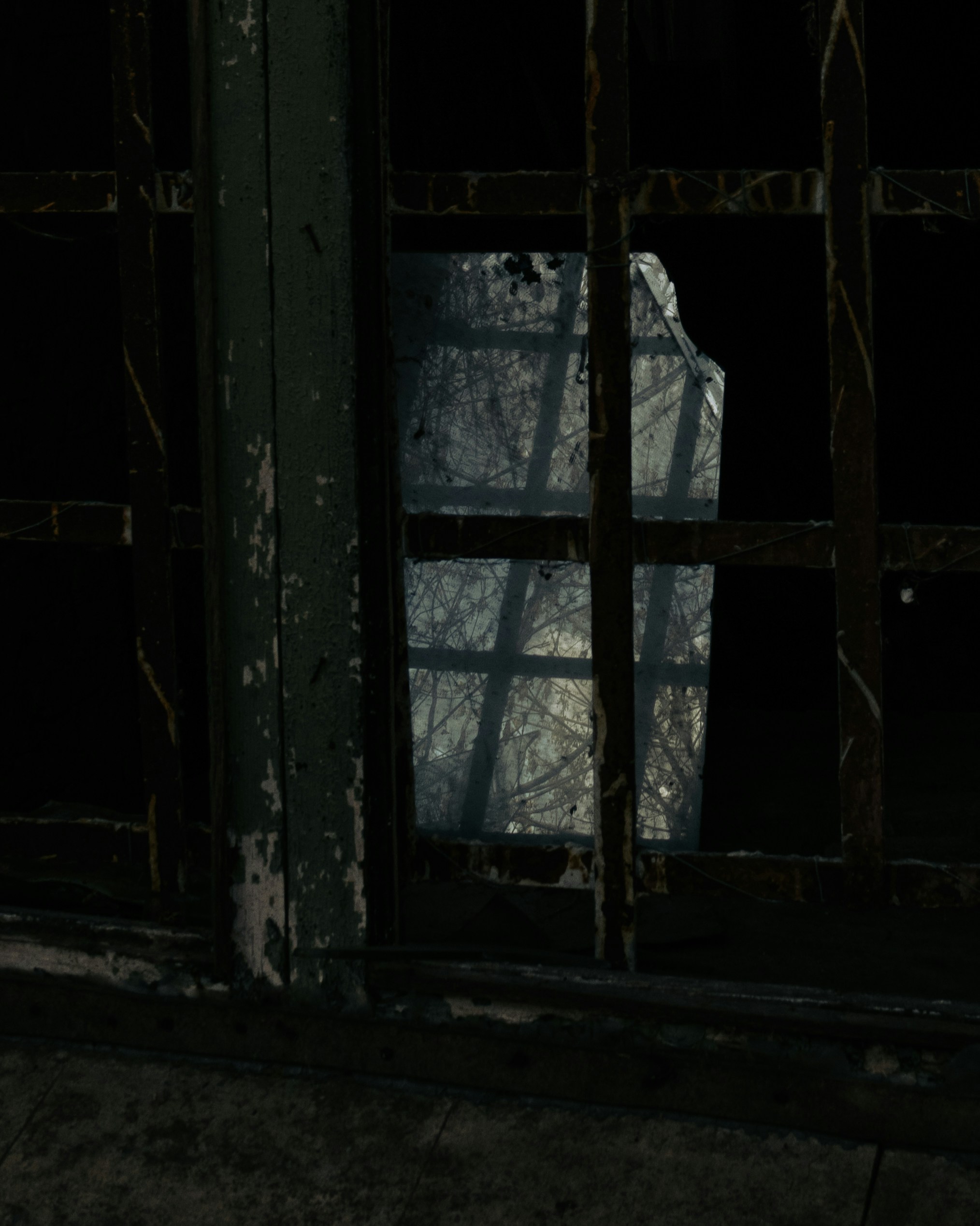 Dark, aged window with peeling paint and rusted bars reveals a ghostly, frost-dusted scene beyond. A blue-tinted pane shows bare branches and a hint of distant light.