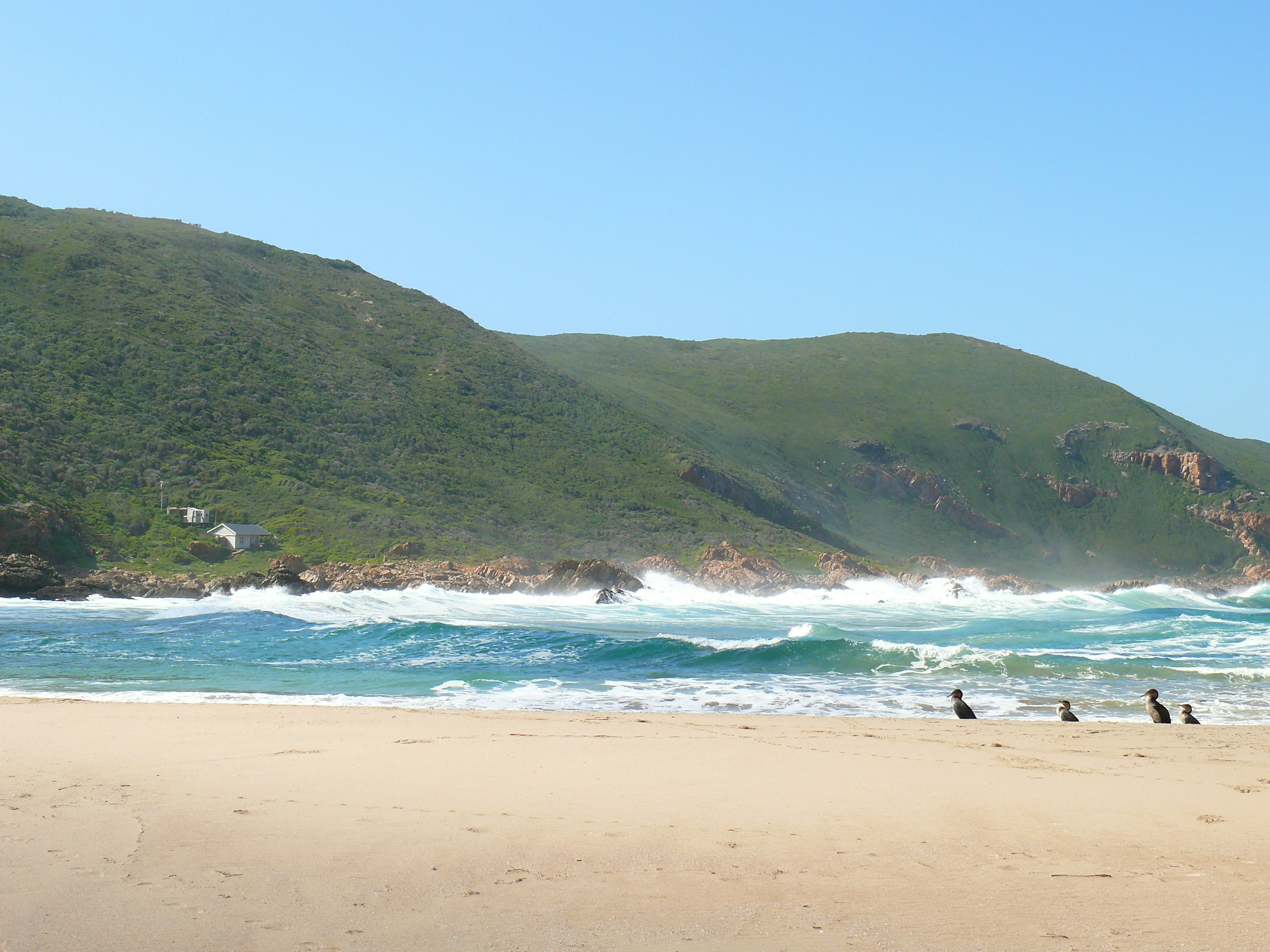Coastal Calm: Dune and Sea Meet the Quiet Shore