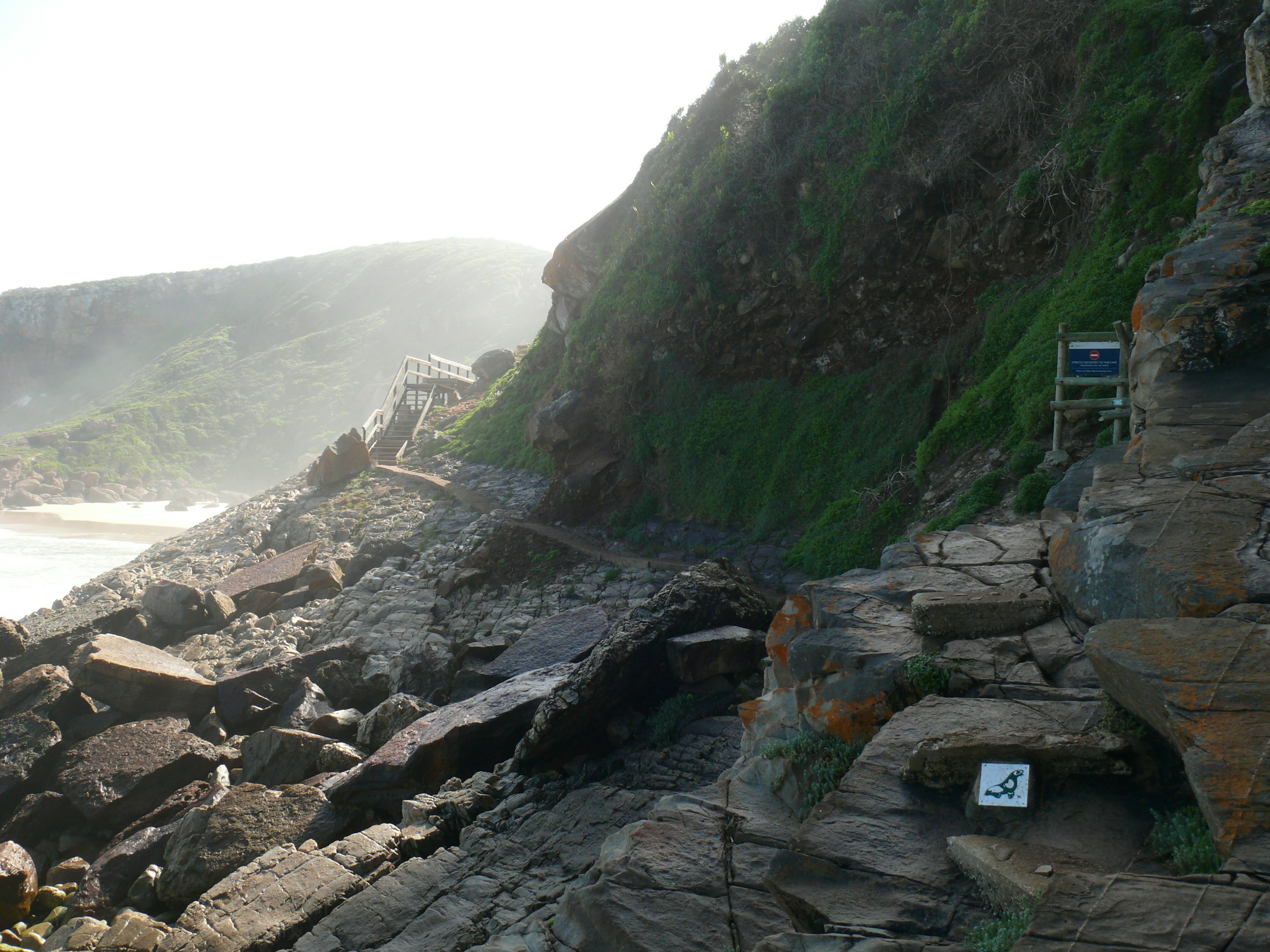 A rugged coastal path winds through layered, weathered rock beside the sea, illuminated by soft golden sunlight filtering through coastal mist. On the right, a steep cliff is covered with dense green vegetation, while natural stone steps lead past a small trail marker and a restricted-access sign. Ahead, a wooden staircase and viewing platform follow the shoreline, framed by distant cliffs fading into the hazy light. The scene feels remote, dramatic, and shaped by the constant meeting of land, wind, and ocean.