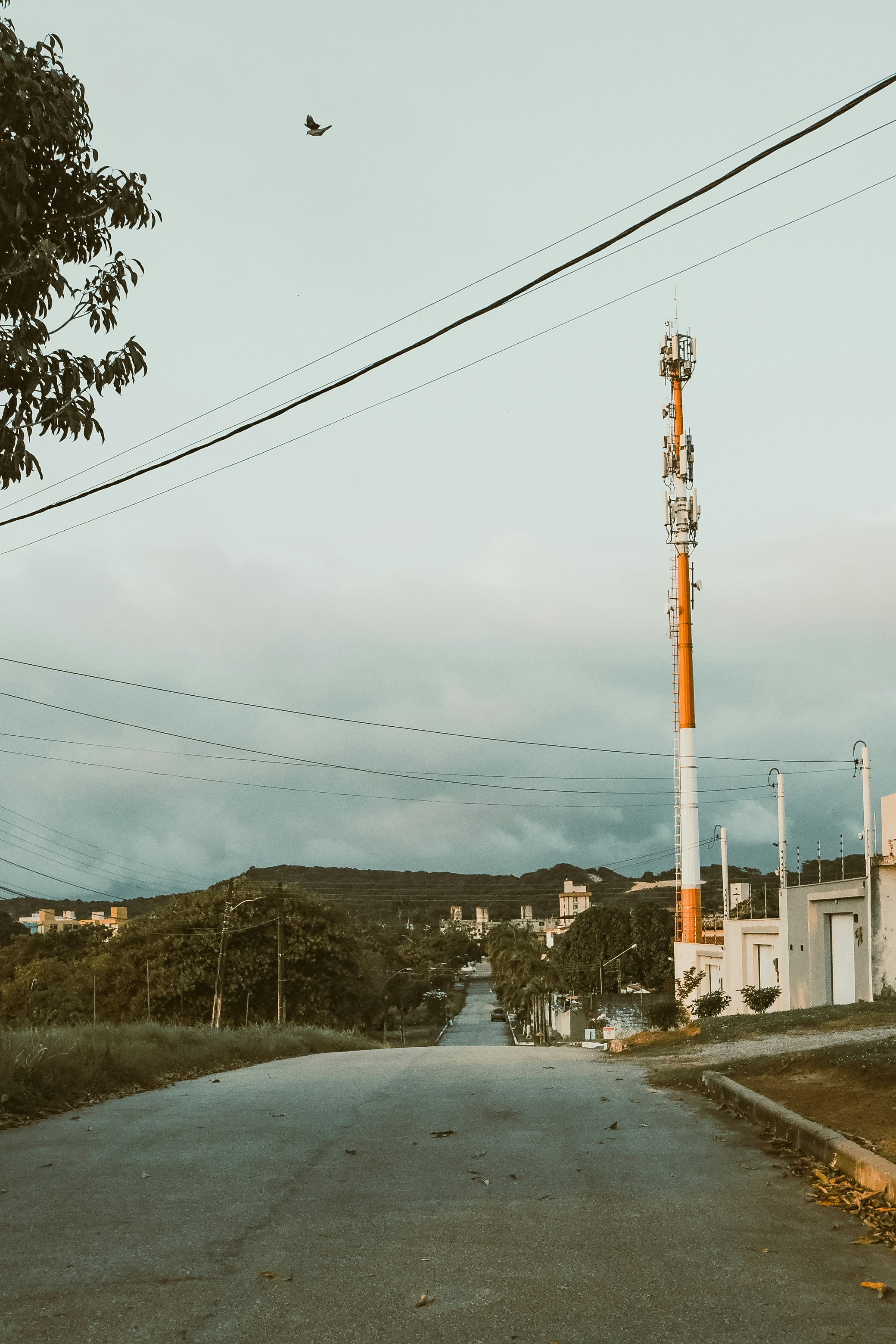 Dusty rural avenue meets a solitary communications tower