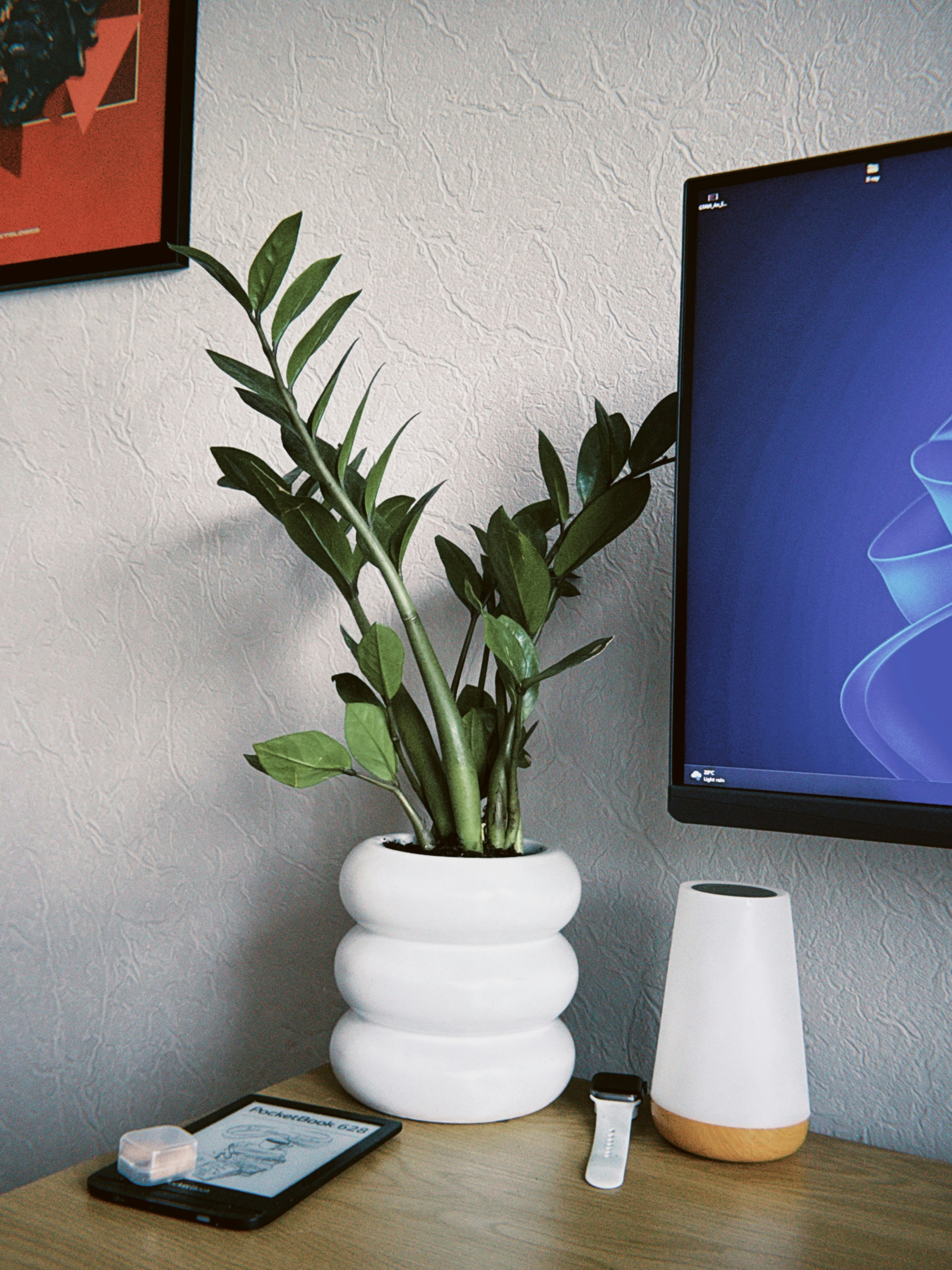 Green Vessels on a Desk: A Plant Centerpiece by the Monitor