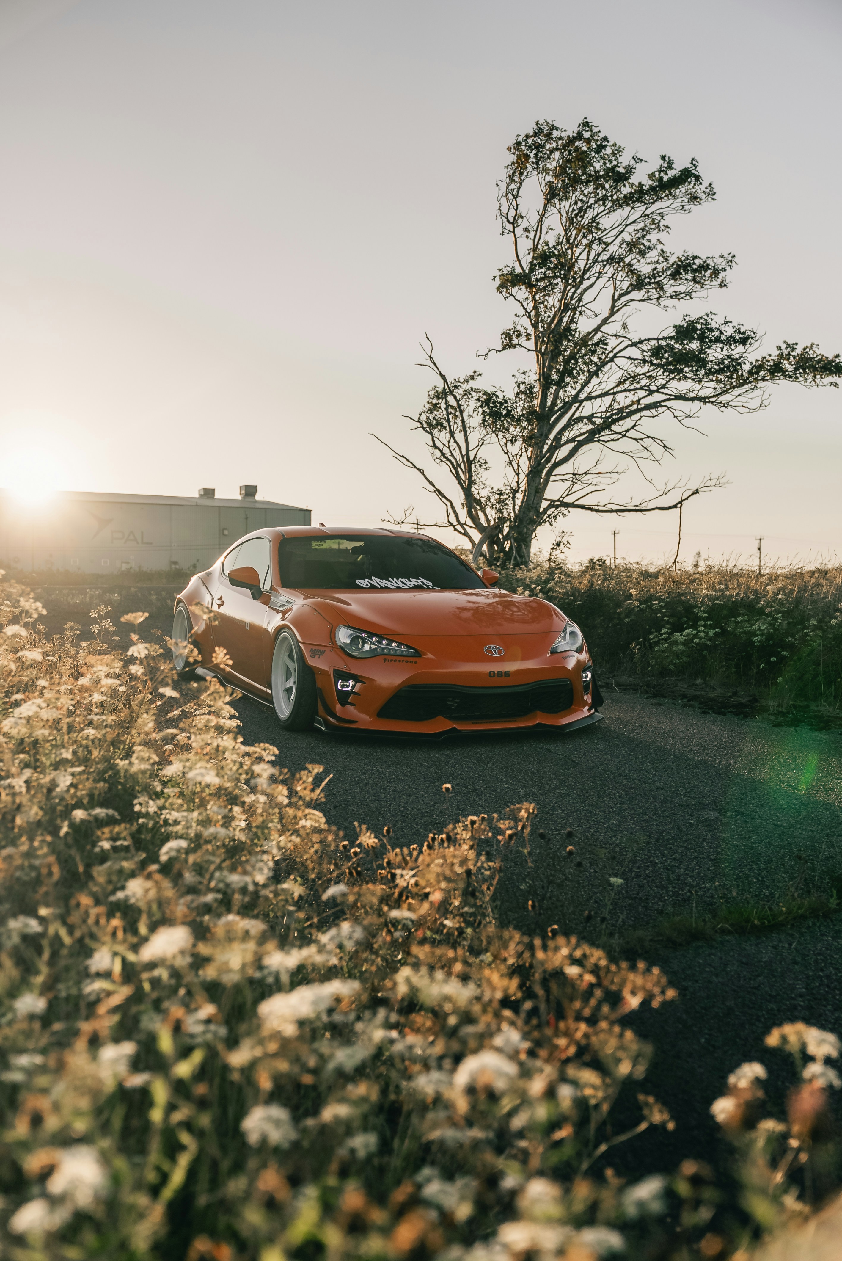 Sunlit Orange Stance: A Drift of Light on a Lime Rock Road