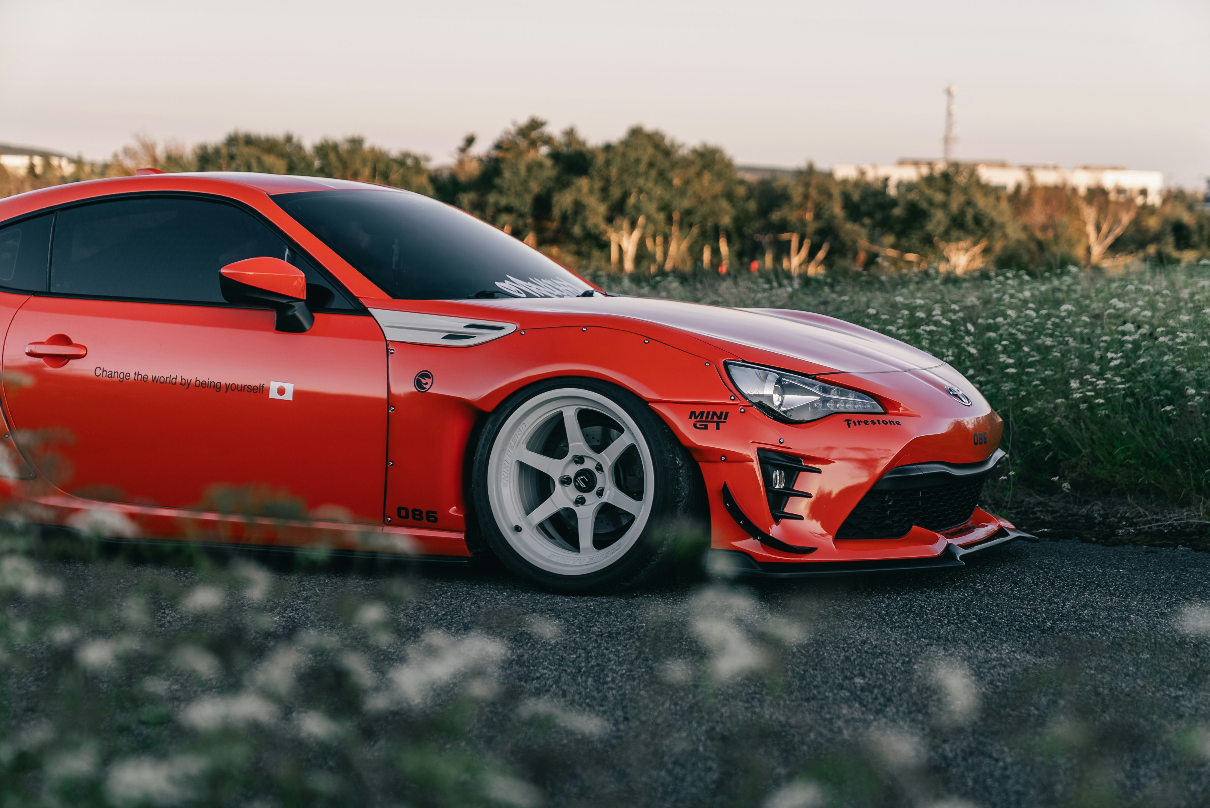 Low Sun, High Car: A Red Drift in Meadowed Asphalt