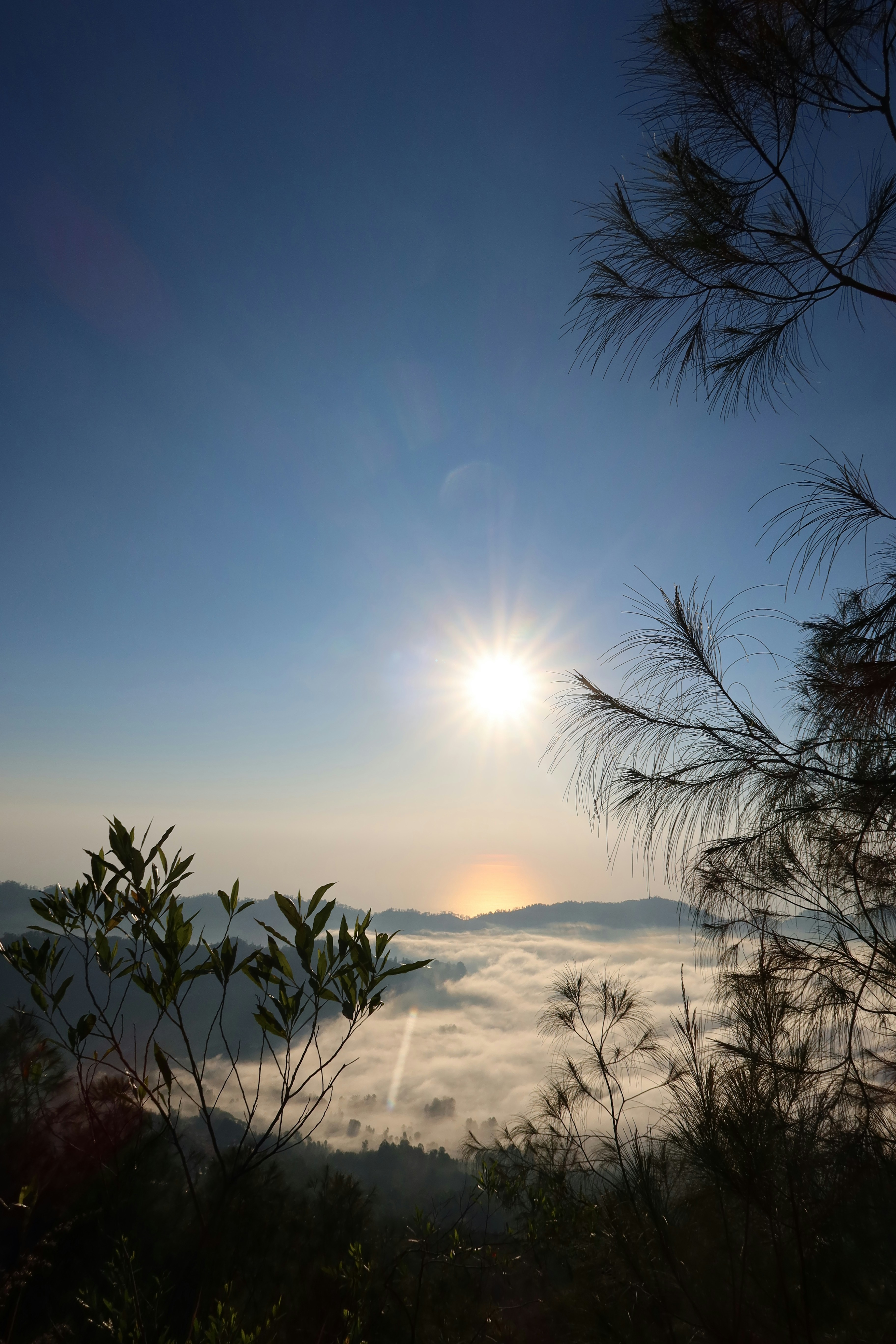 Sunlit Ridge Above a Sea of Clouds