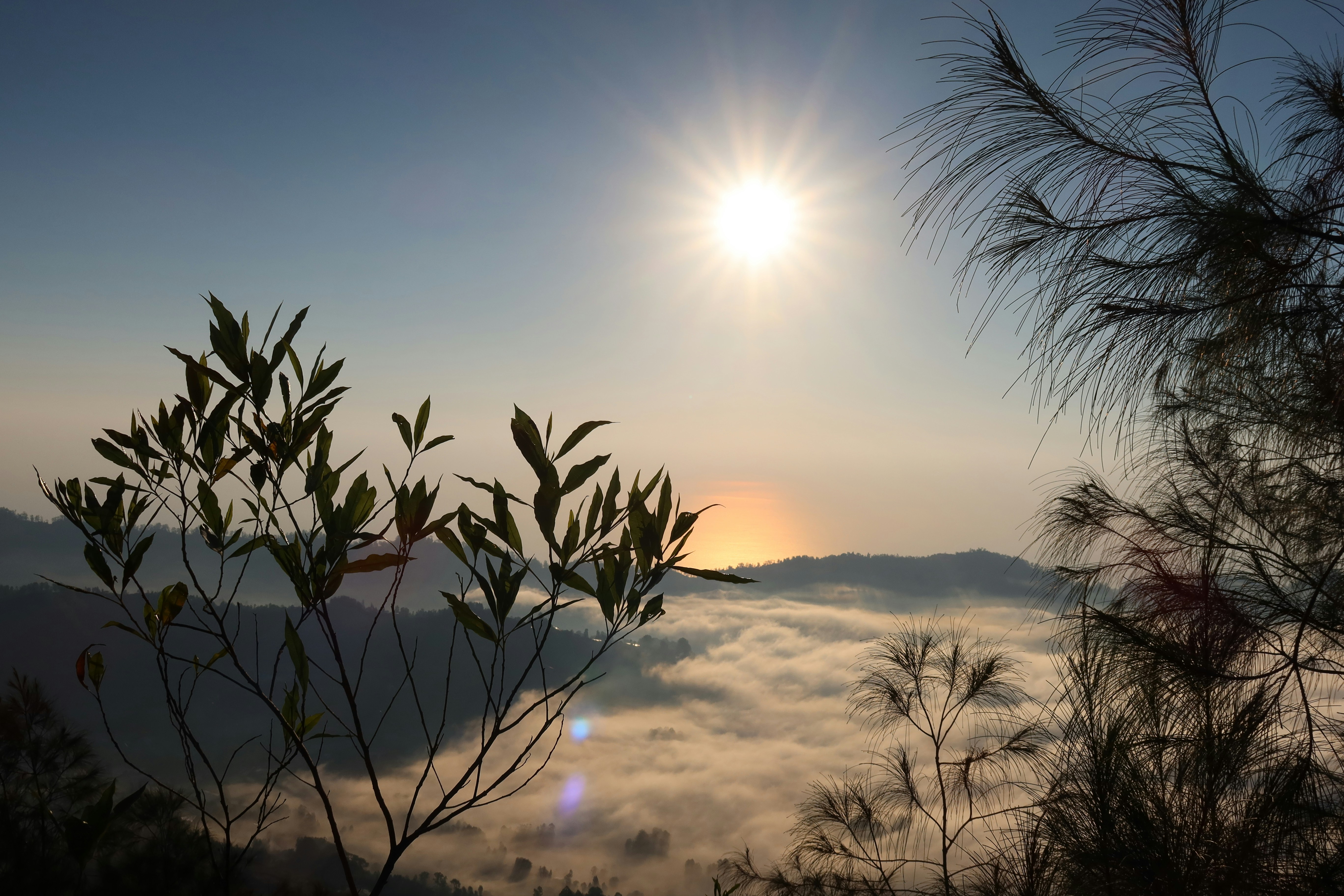 Sunlit Horizon Above a Sea of Clouds