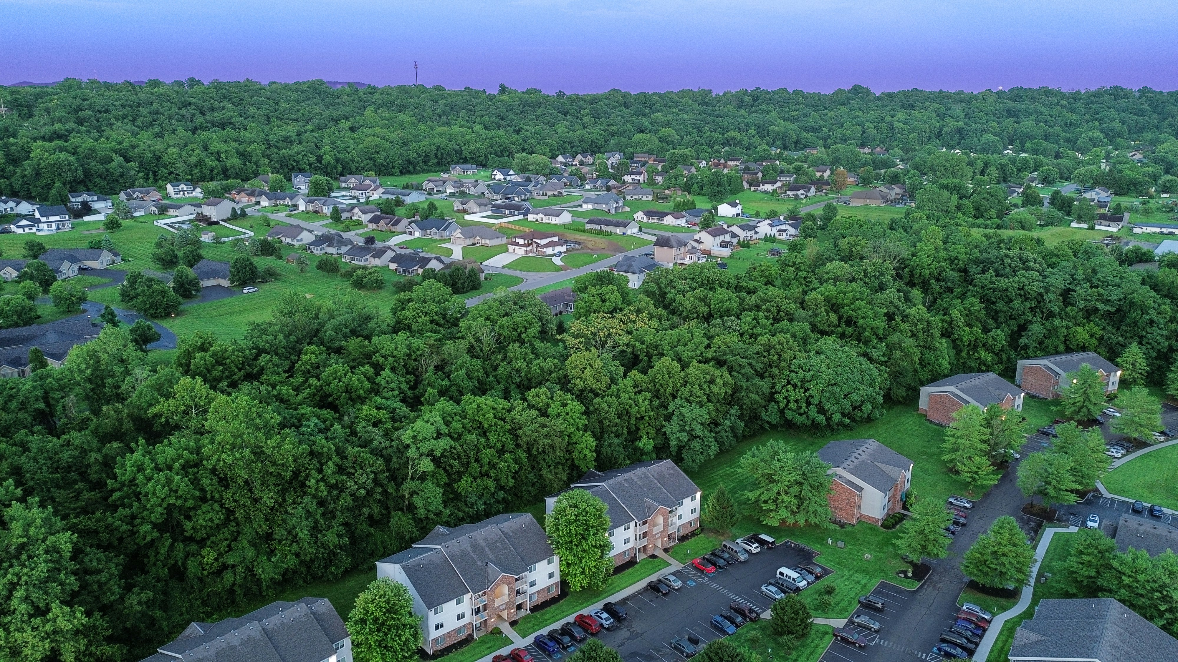 Suburban Forest Edge: Aerial Portrait of Tree-Lined Community