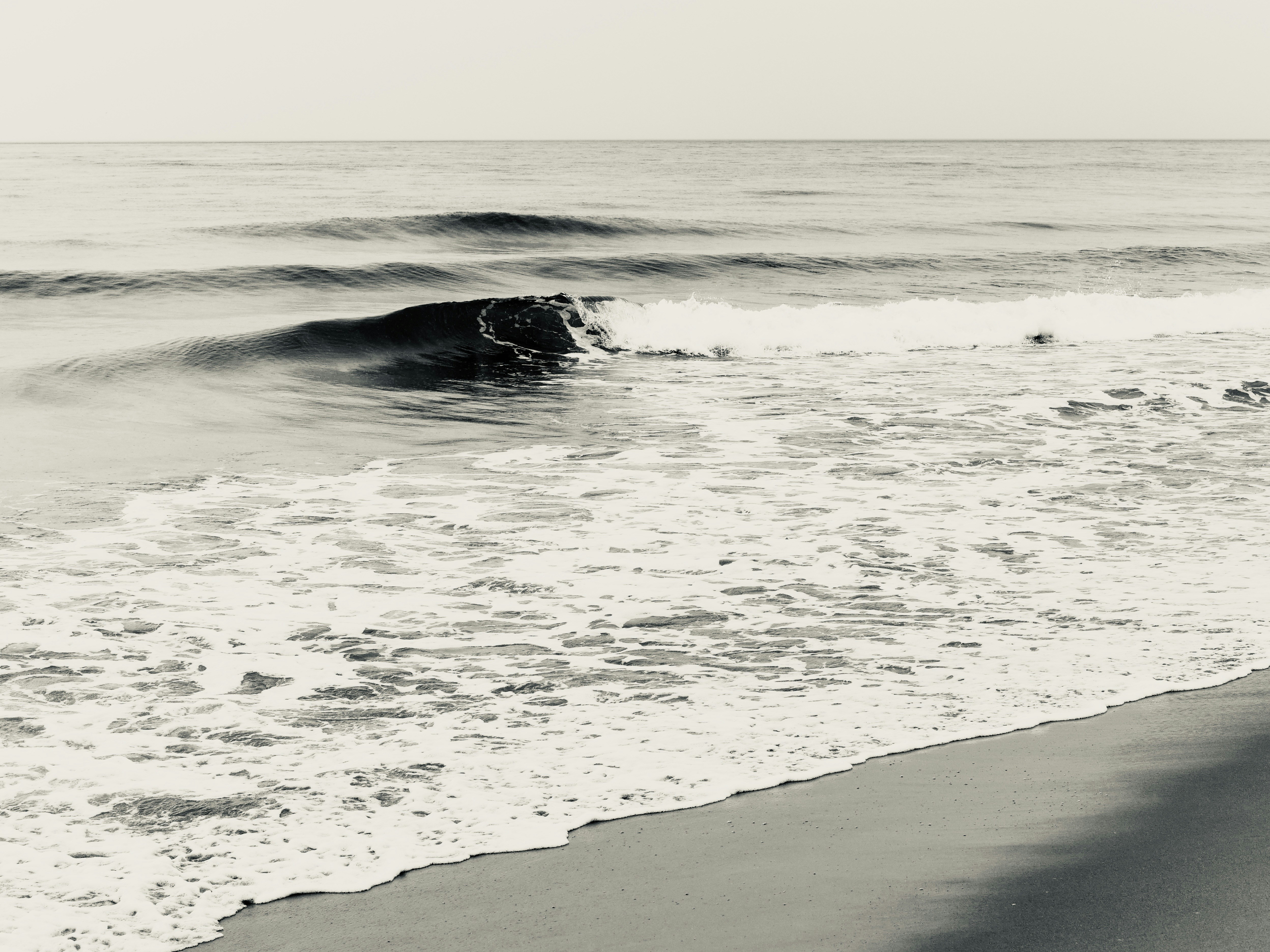 Soft, monochrome coastal scene with a gentle wave curling near the shoreline and a smooth, expansive horizon.