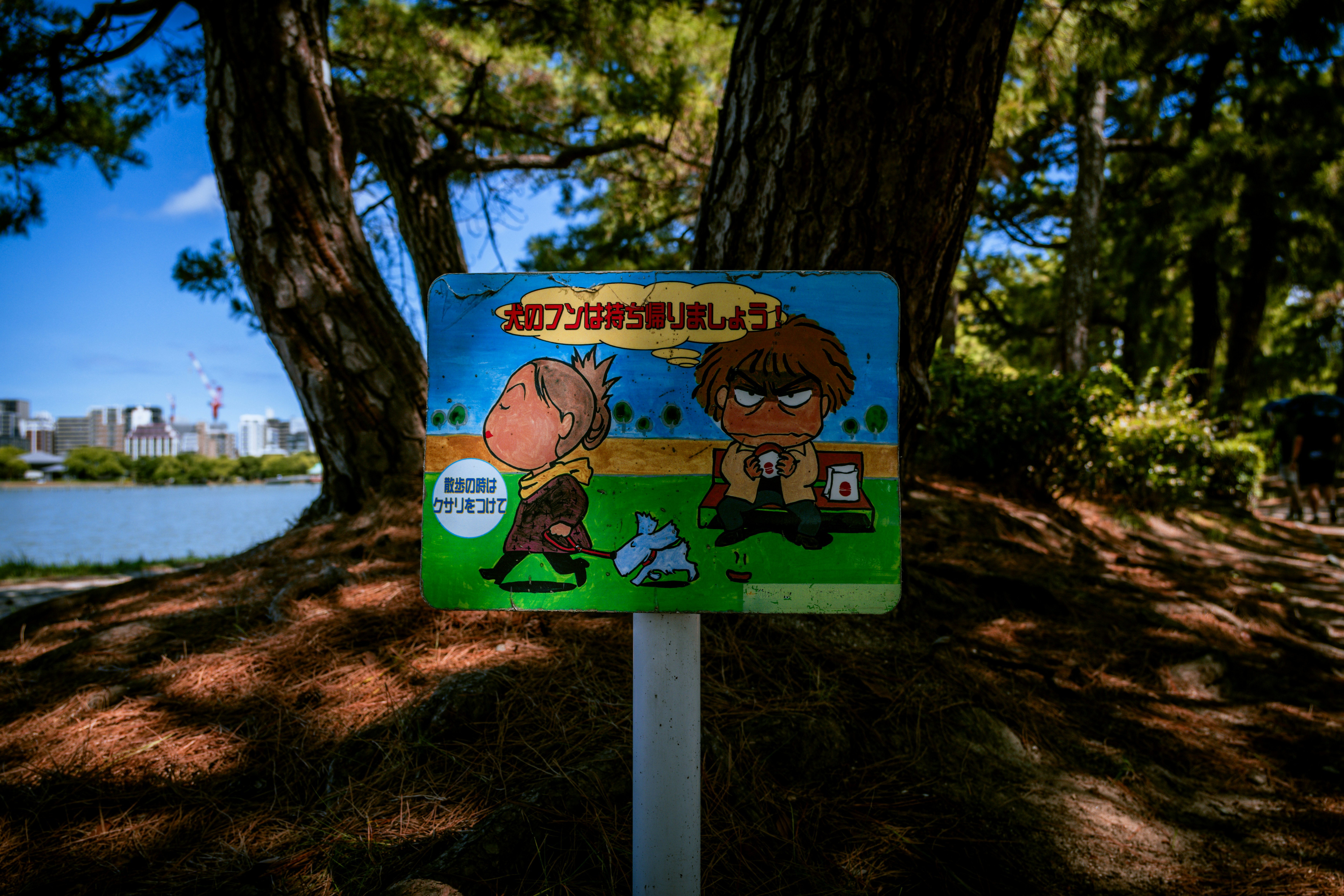 Playful Cartoon Sign Quietly Framed by a Shaded Park