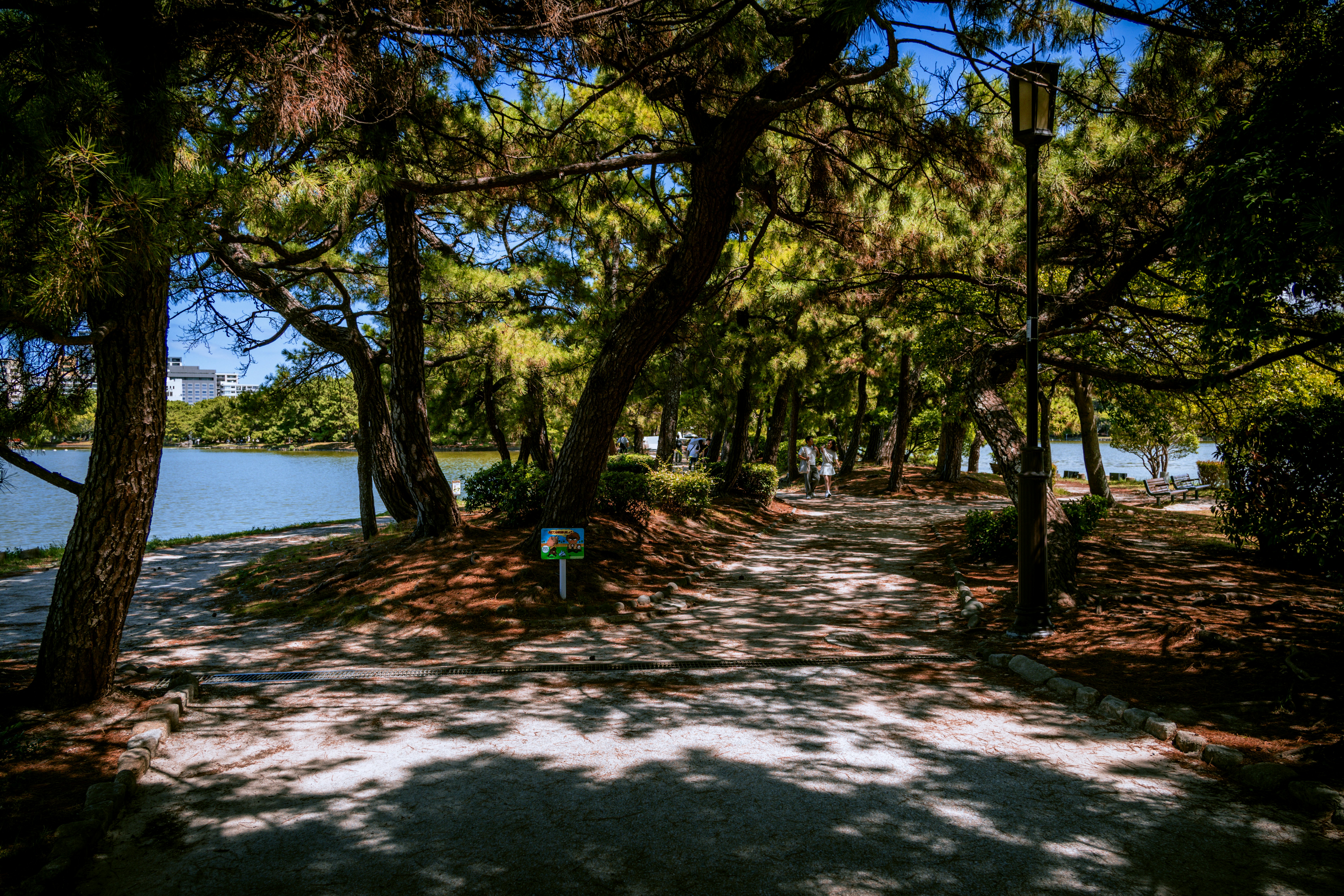 Shaded Riverside Promenade: Light and Shadow under the Canopy