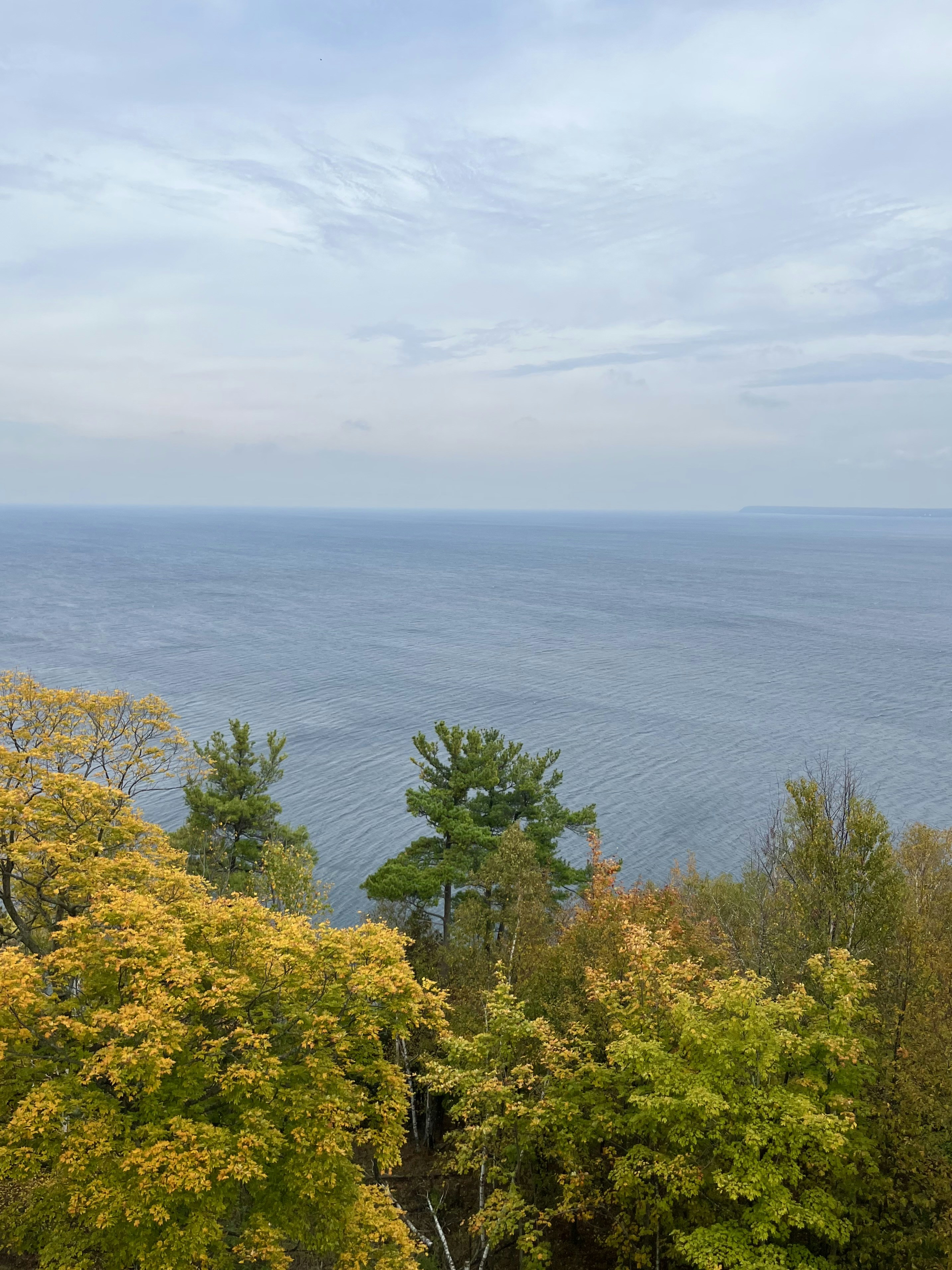 Autumn foliage frames a calm seascape with distant horizon and a gentle sky (landscape photograph).