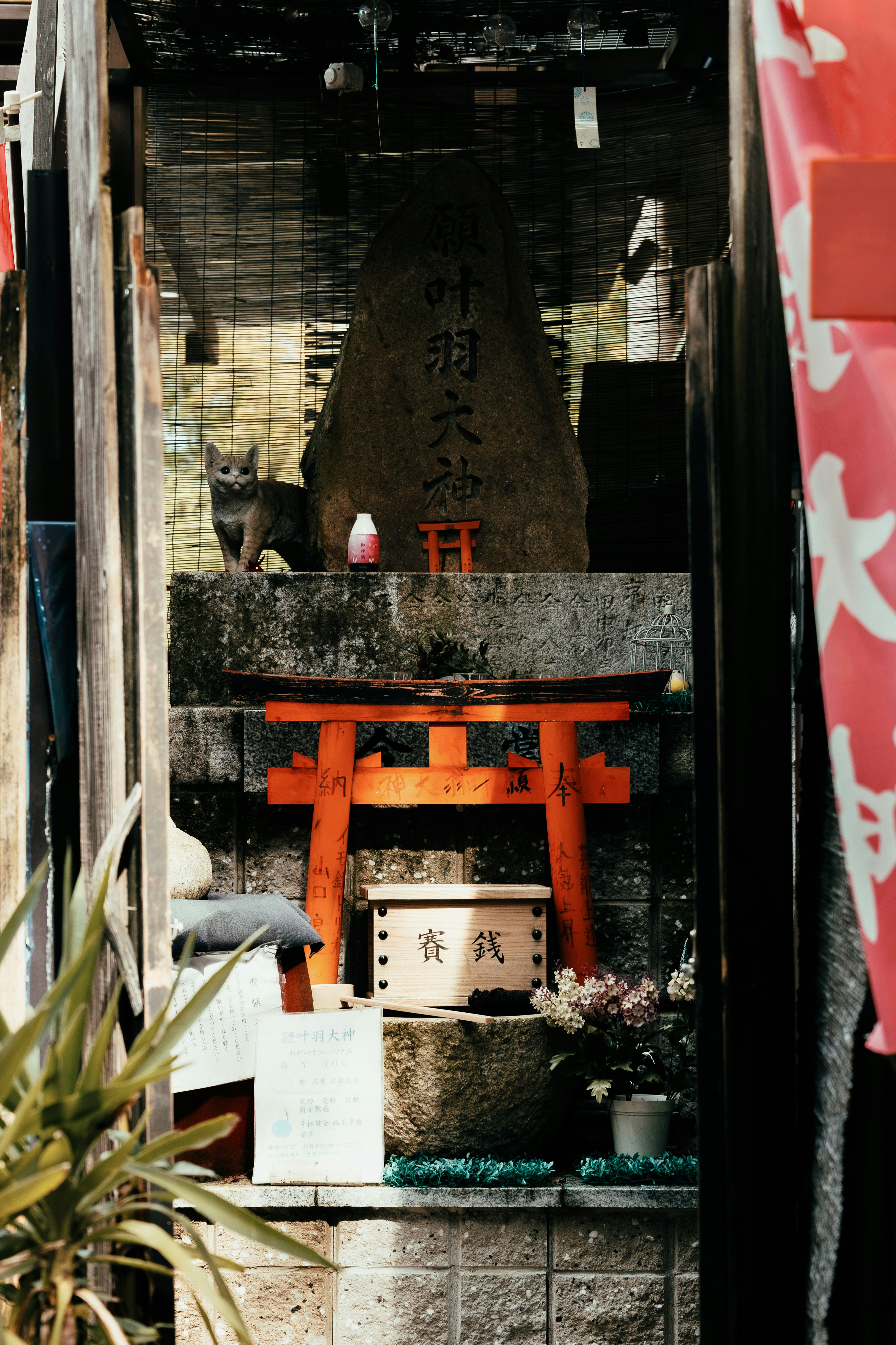 Tiny Shrine in a Narrow Corridor: A Shiba Inu Keeps Watch