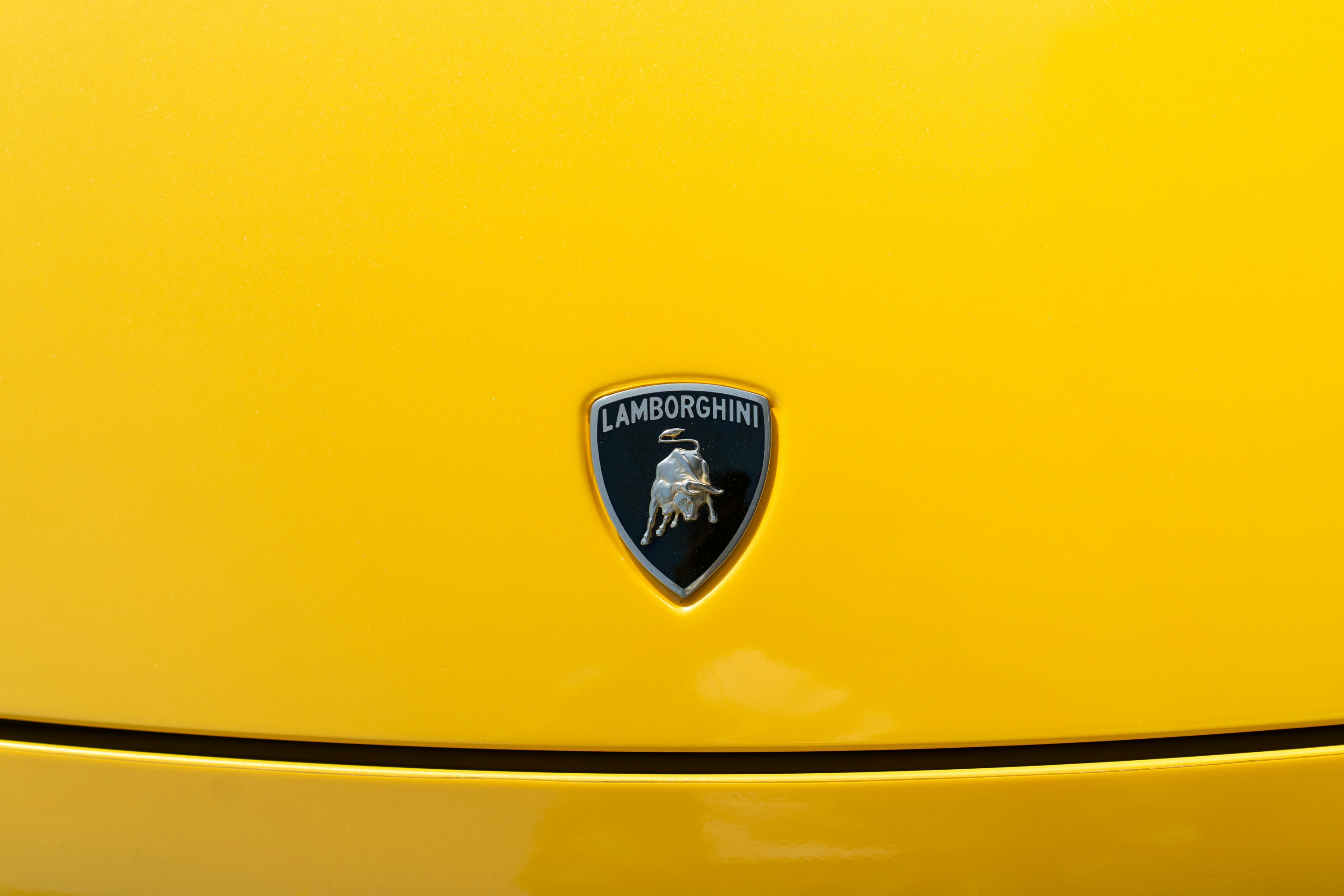 Golden Frame: The Lamborghini Emblem Centered in Crisp Yellow