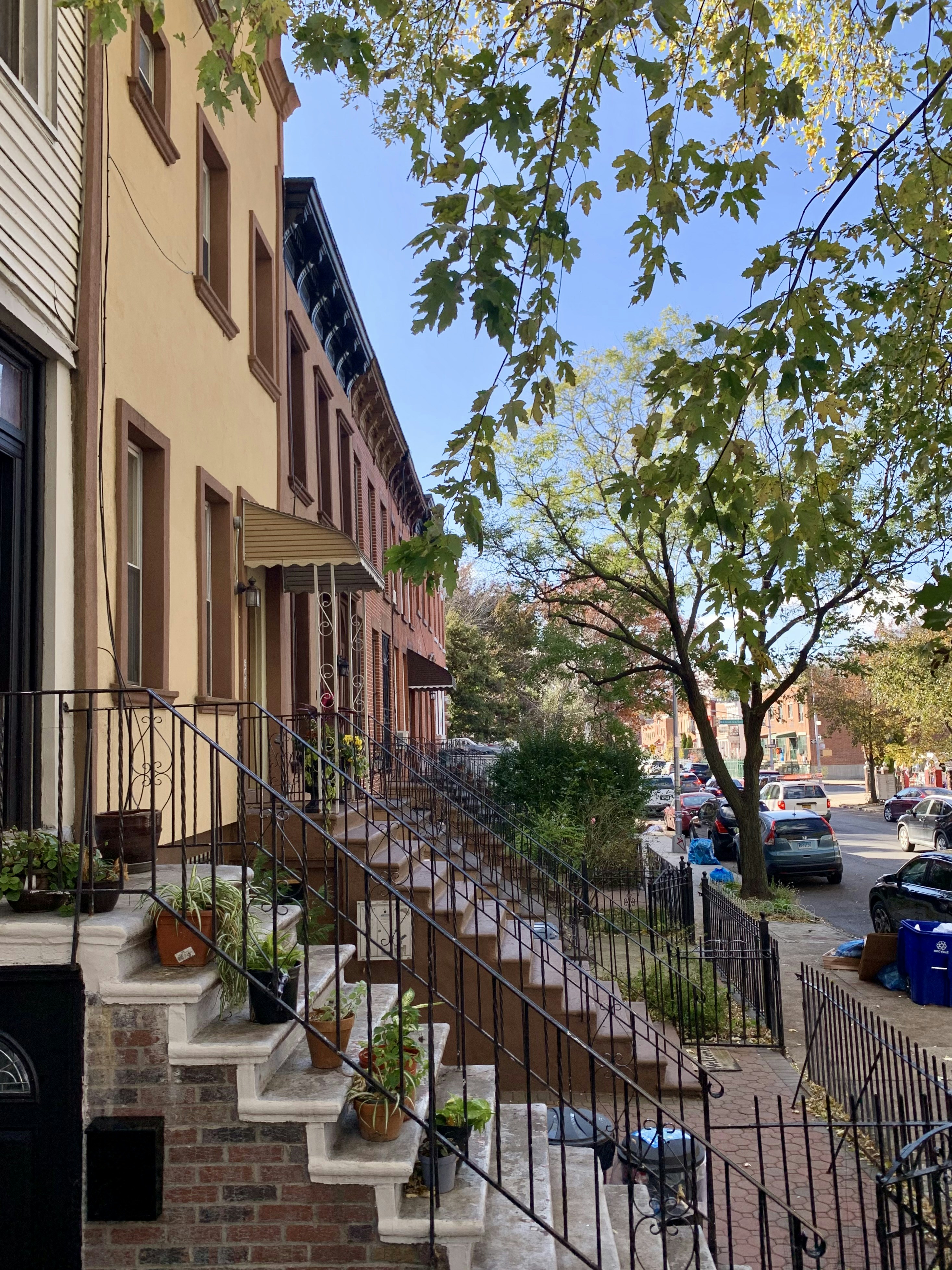 Sunlit stoops and brick stairs: a row of townhouses under a leafy canopy