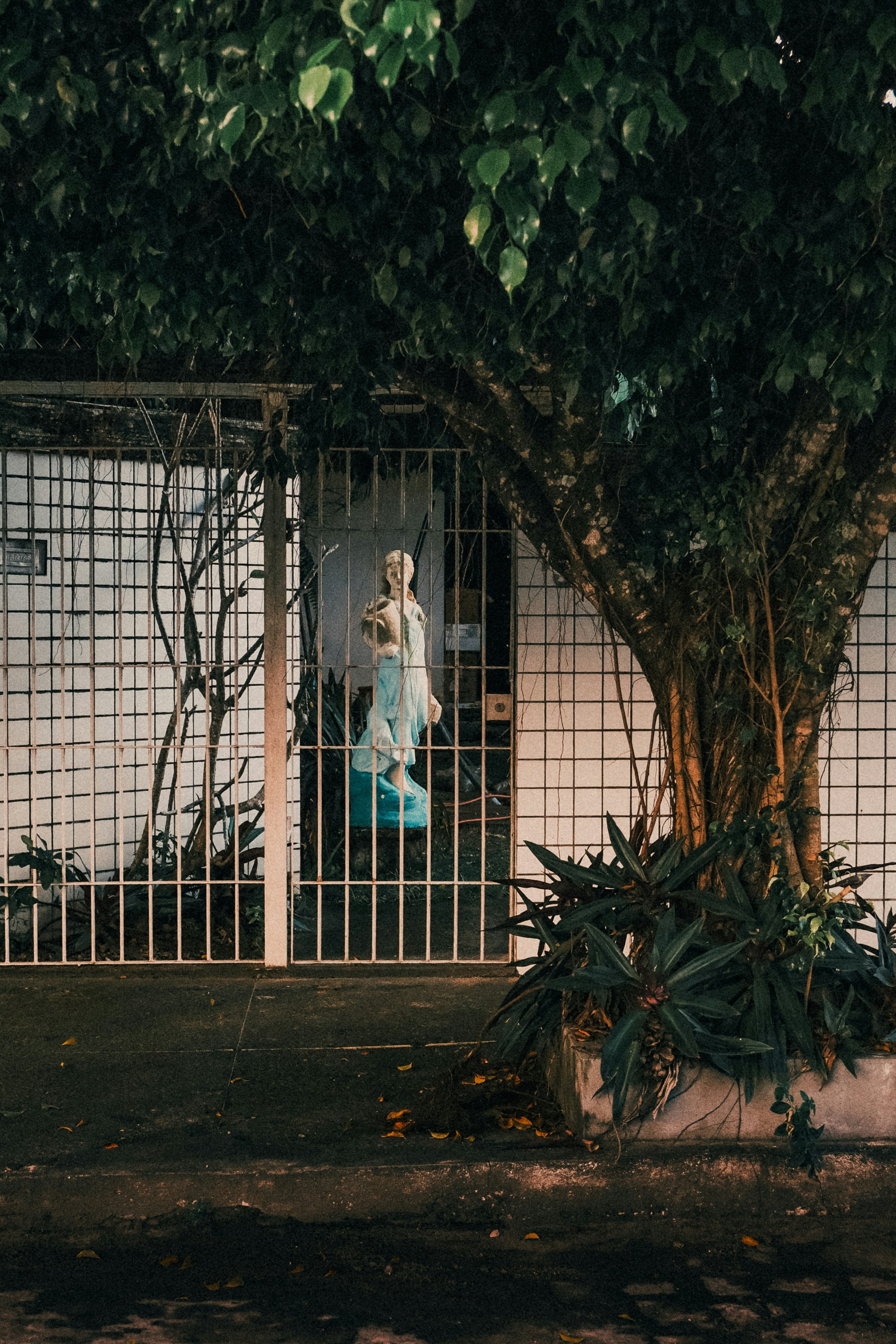 Statue Beneath the Canopy: Quiet Guardian at the Gate