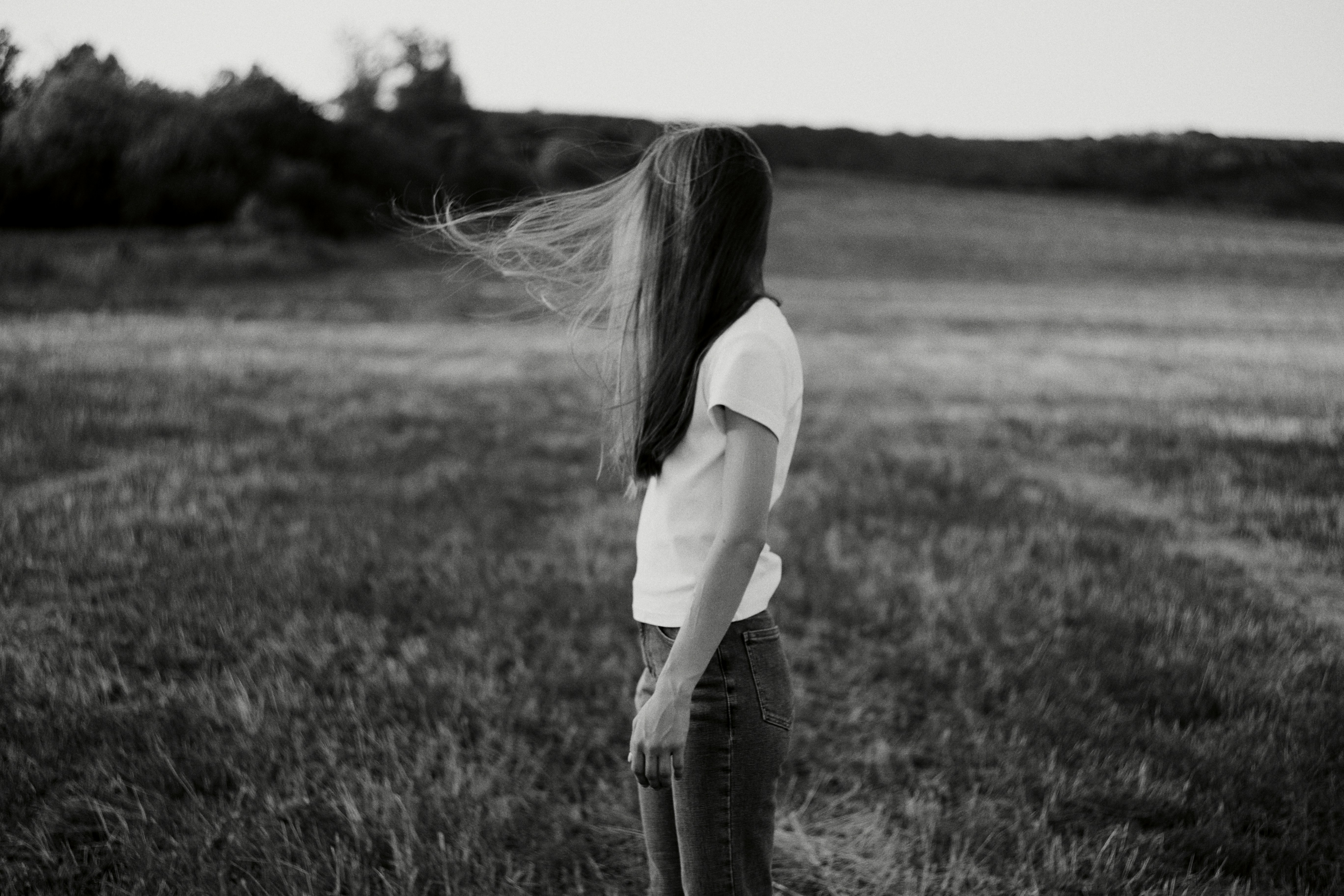 Silhouette in a Wind-Kissed Field