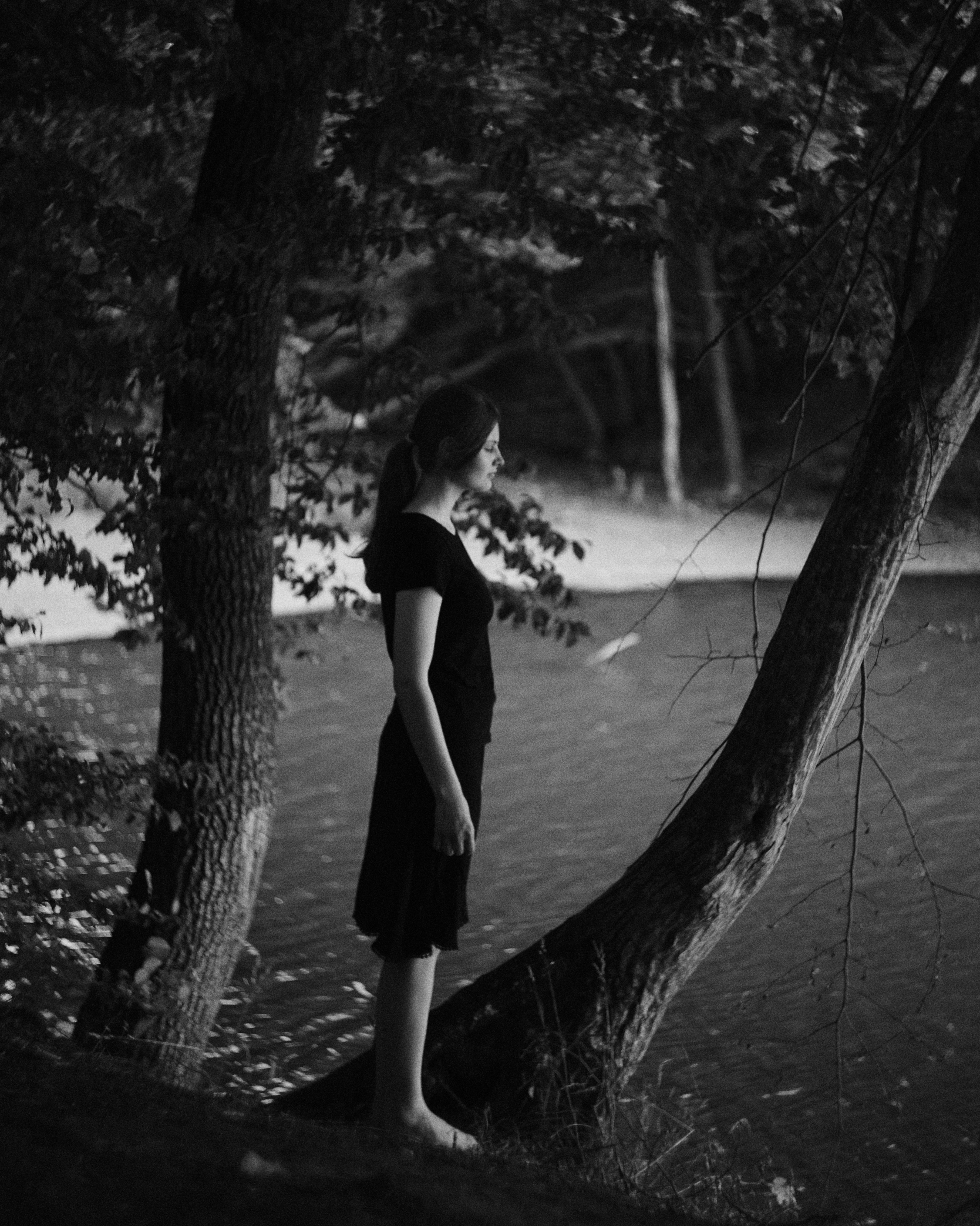 Quiet Reverie by the Water's Edge