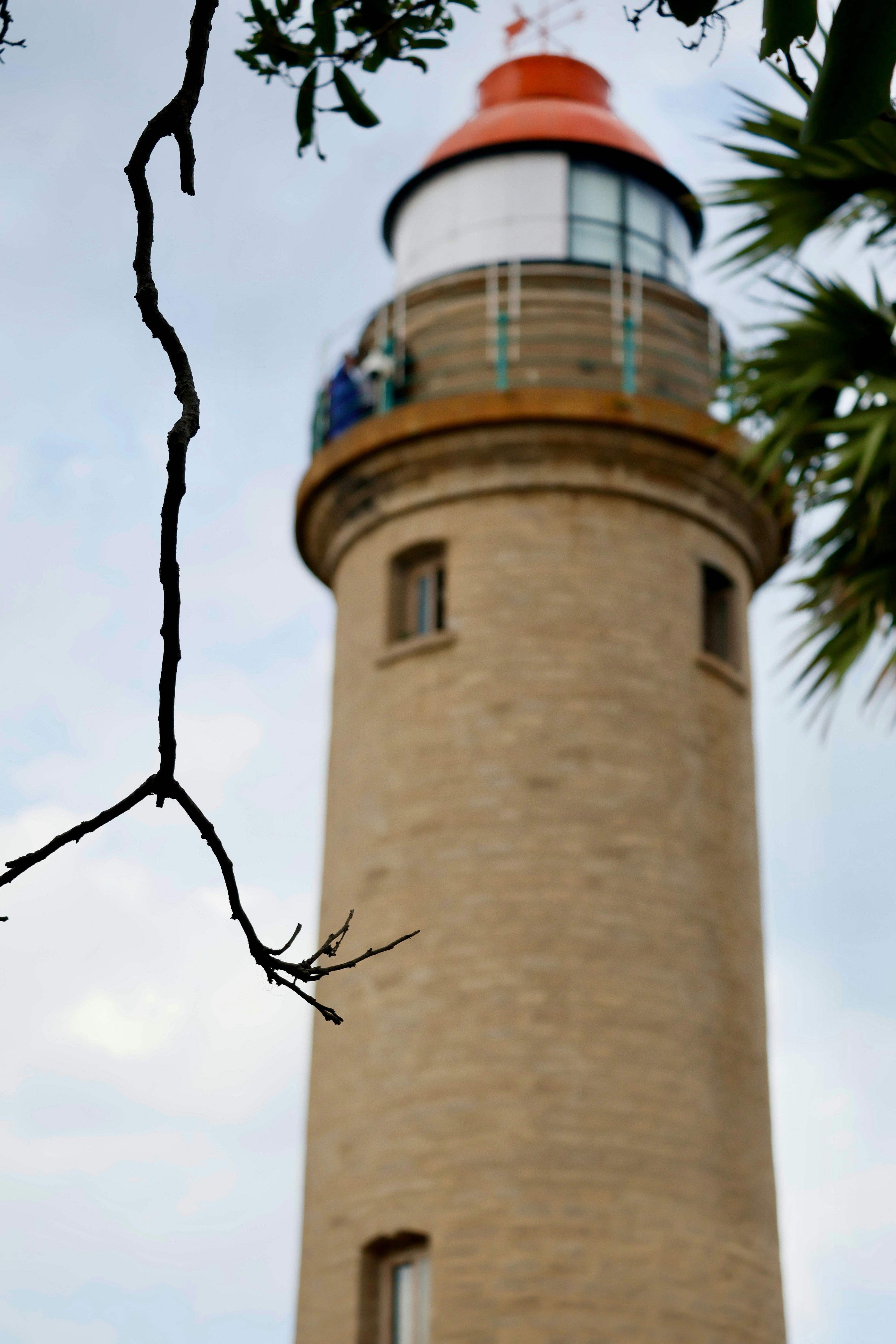 A tall coastal lighthouse rises from the frame with a blurred sky background and a dark branch crossing the foreground, creating a sense of depth and scale.