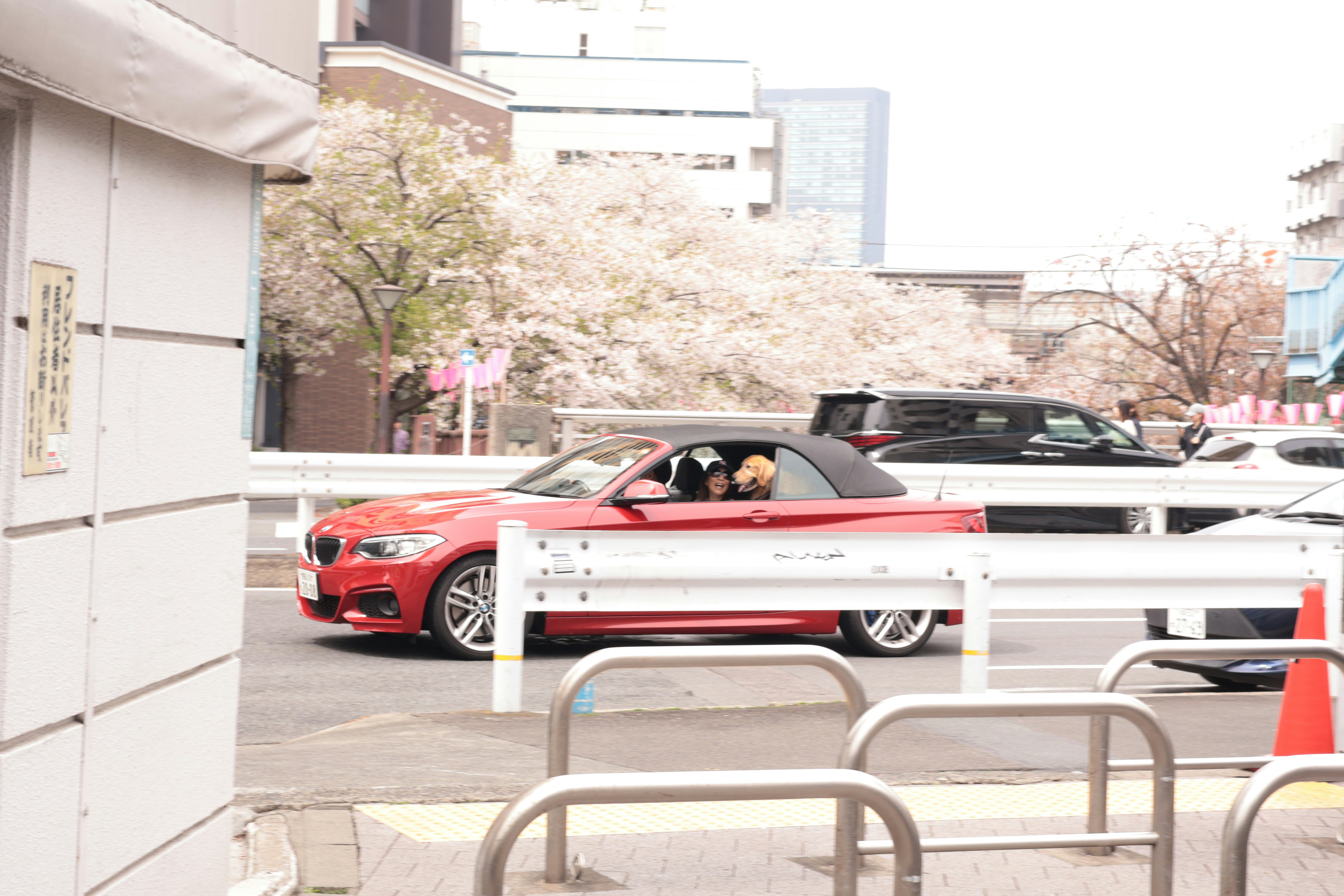 Midday Convertible Stoppage: A Red Car Pauses at a City Crossing