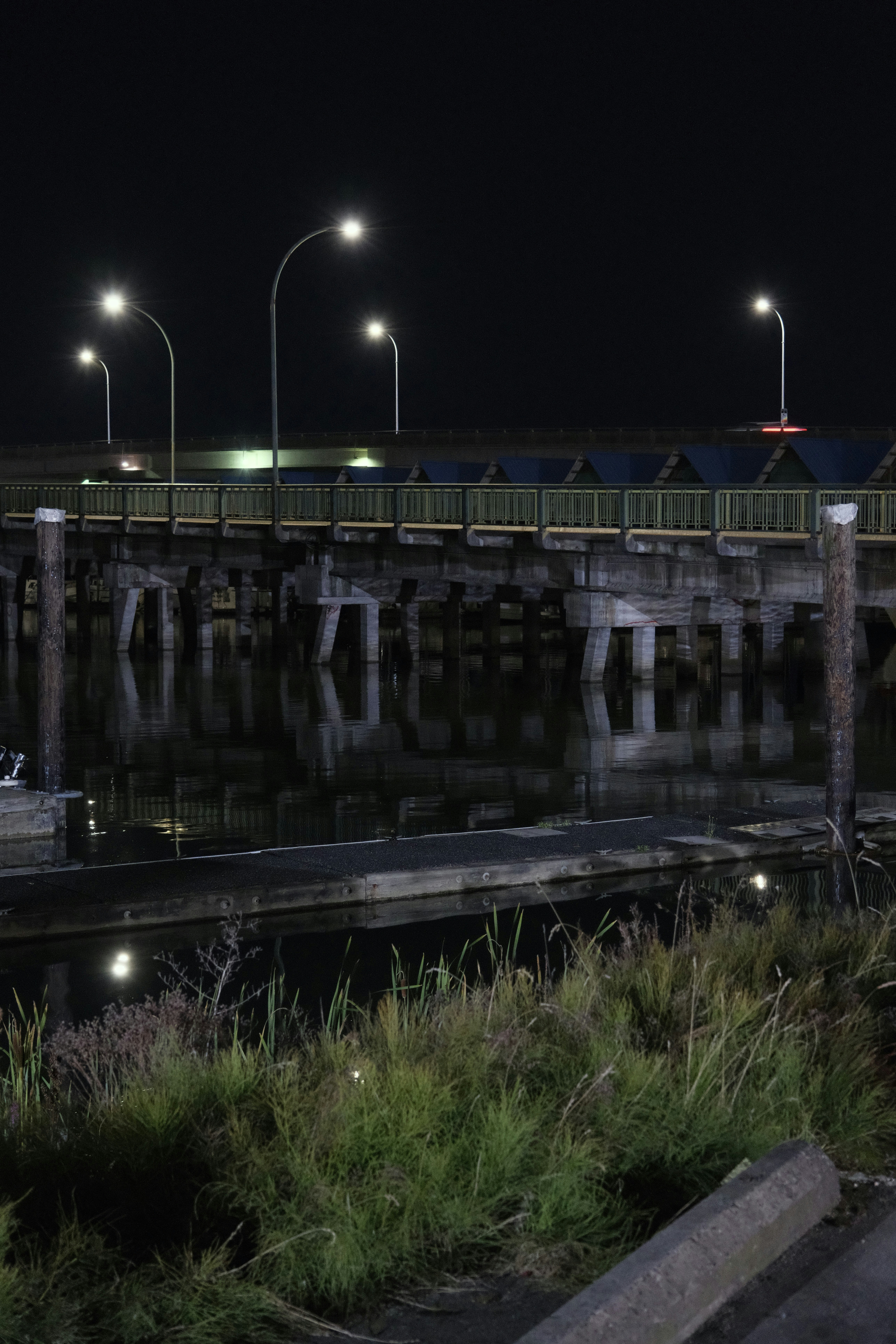 Quiet Night on the Pontoon: Streetlights Sketch the Calm Water