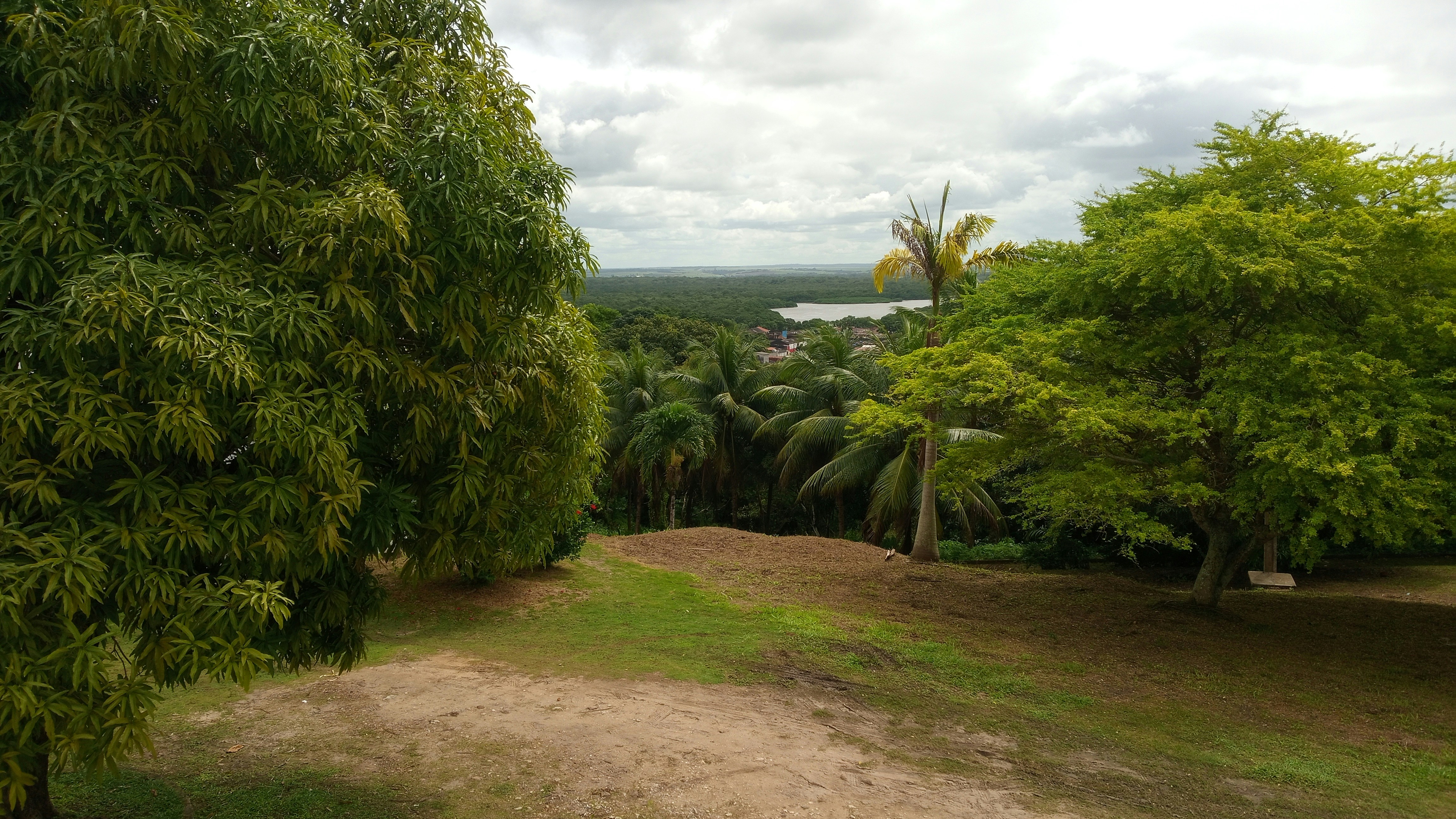 A grassy hill overlooking a dense forest and a distant lake under cloudy skies