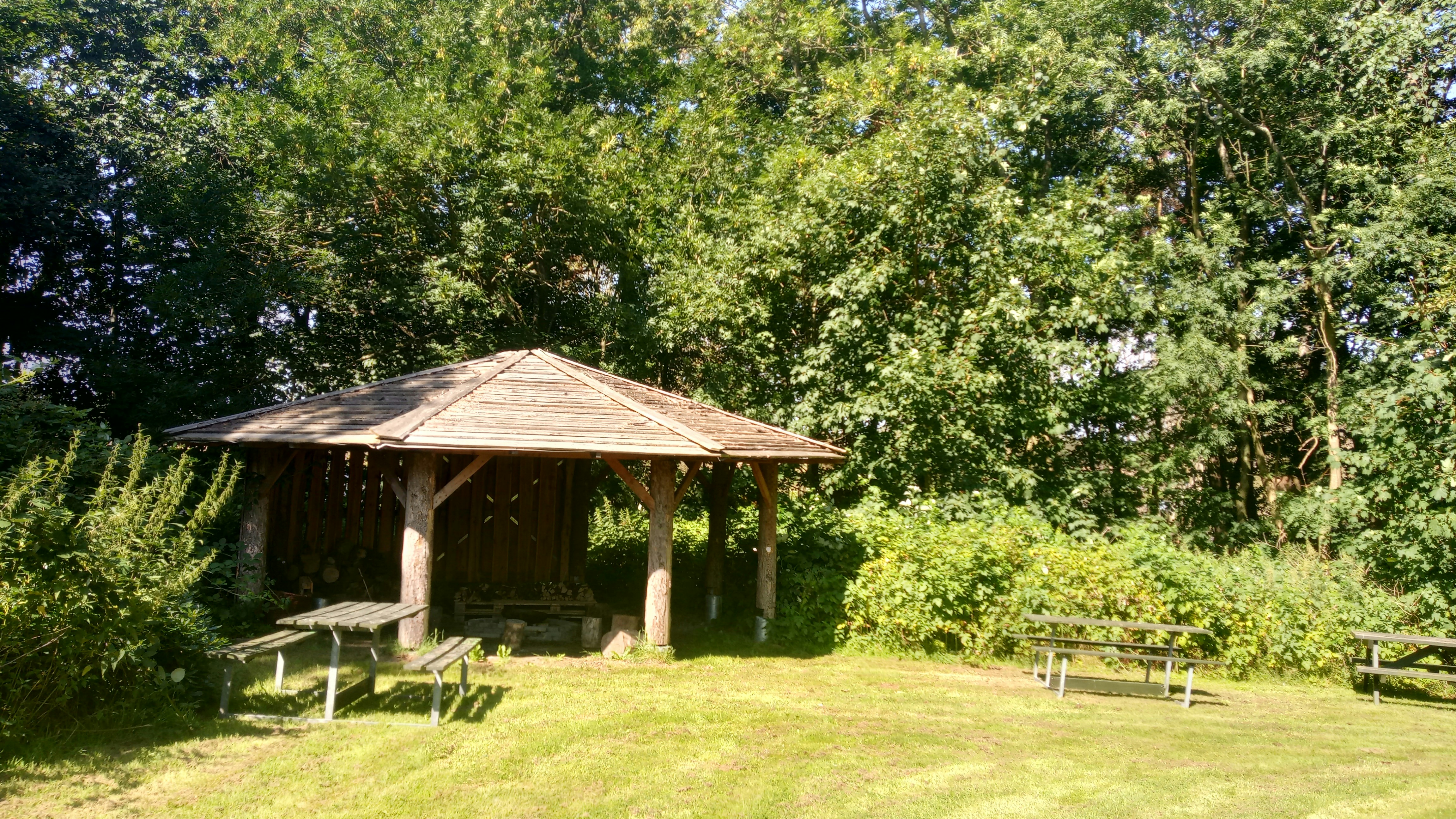 A wooden gazebo with picnic tables on a grassy lawn near dense trees