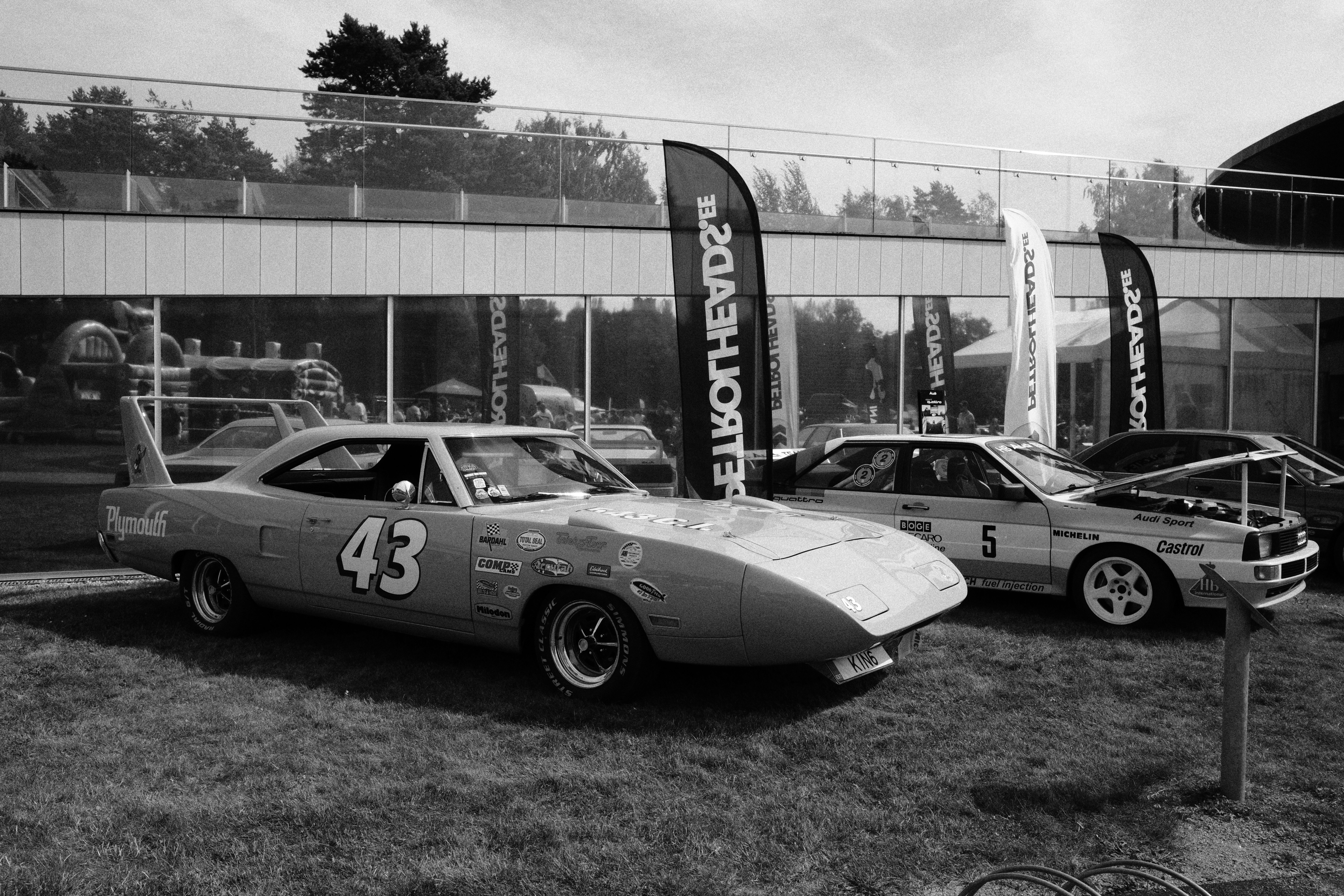 Midnight Thunder: Vintage Race Cars on the Grass