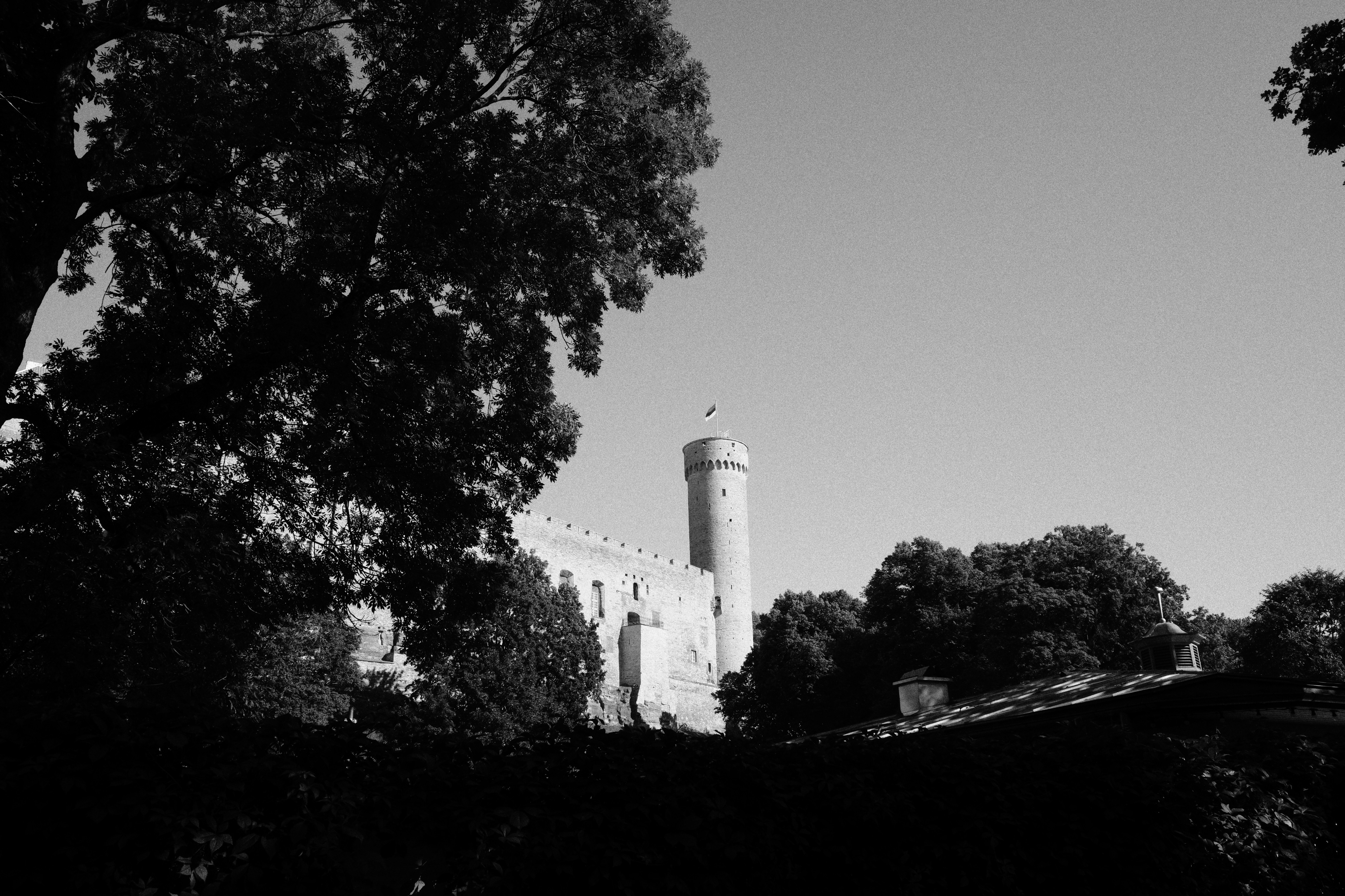 Castle Tower Rising Above the Treeline in Monochrome