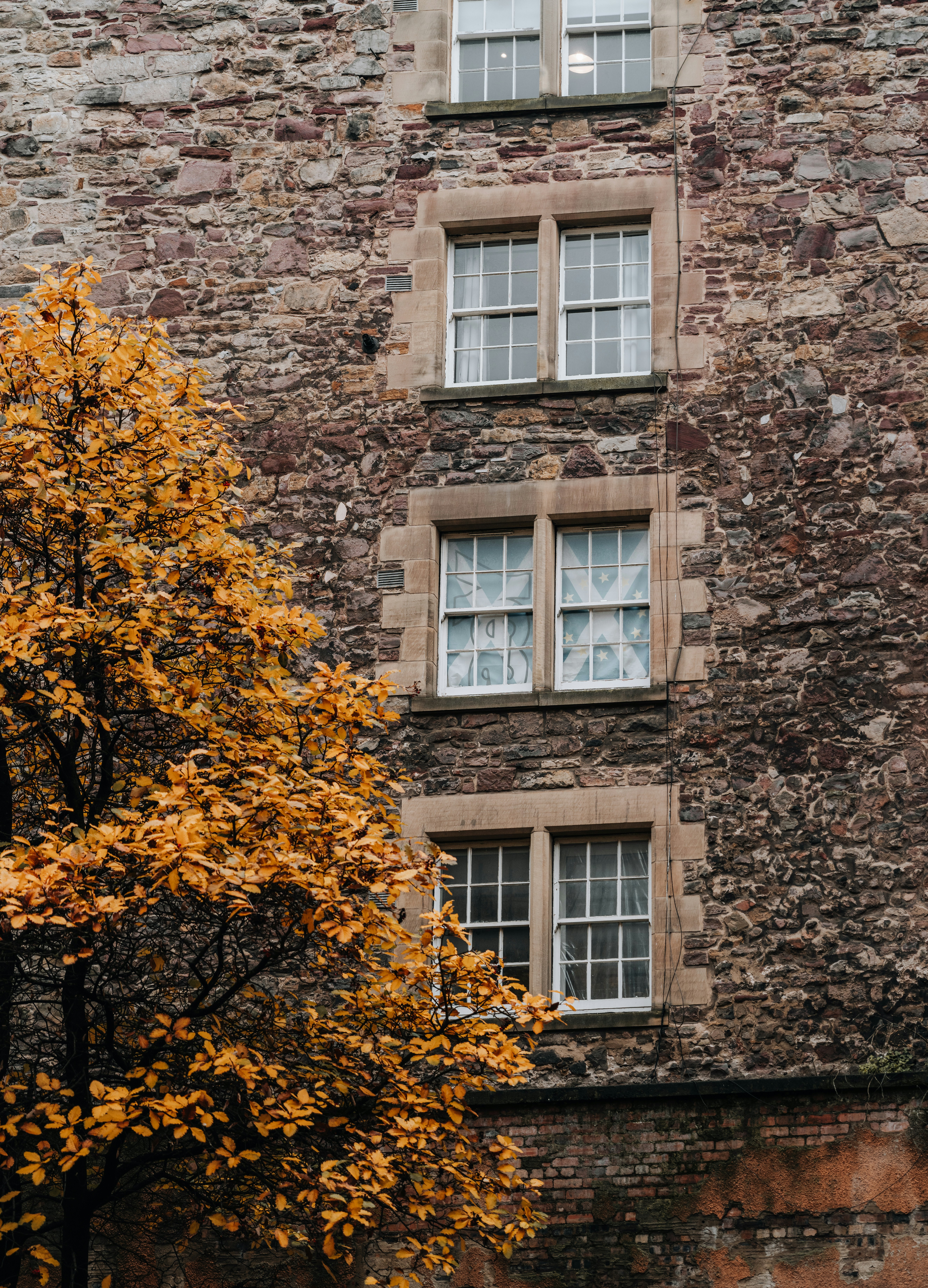 Autumn Facade: A Brick Wall with Golden Leaves Framing Window Rows