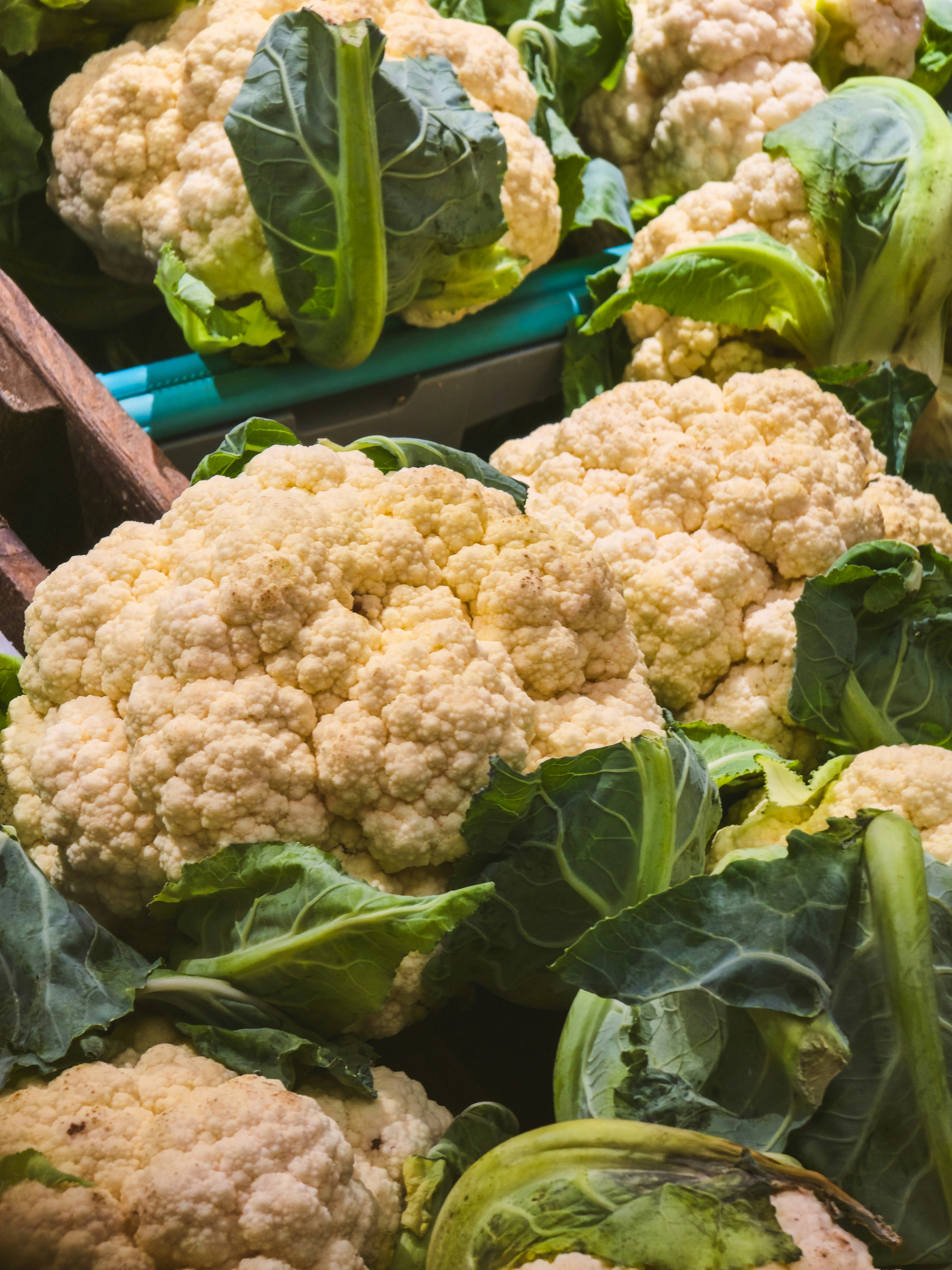 Close-up of Creamy Cauliflower Clusters Packed in a Market