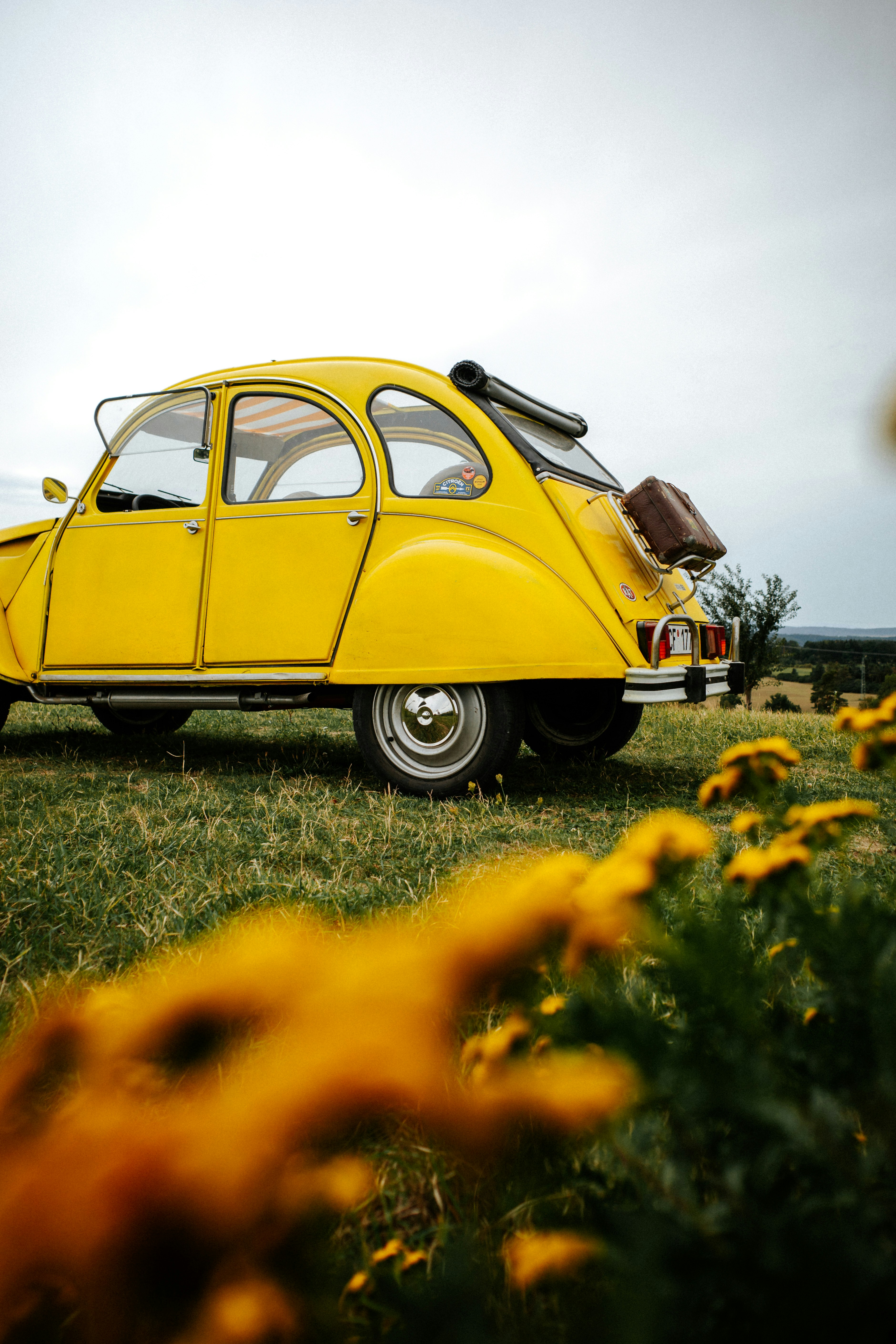 Yellow Citroën on the Field: A Retro Moment with Sunlit Flowers