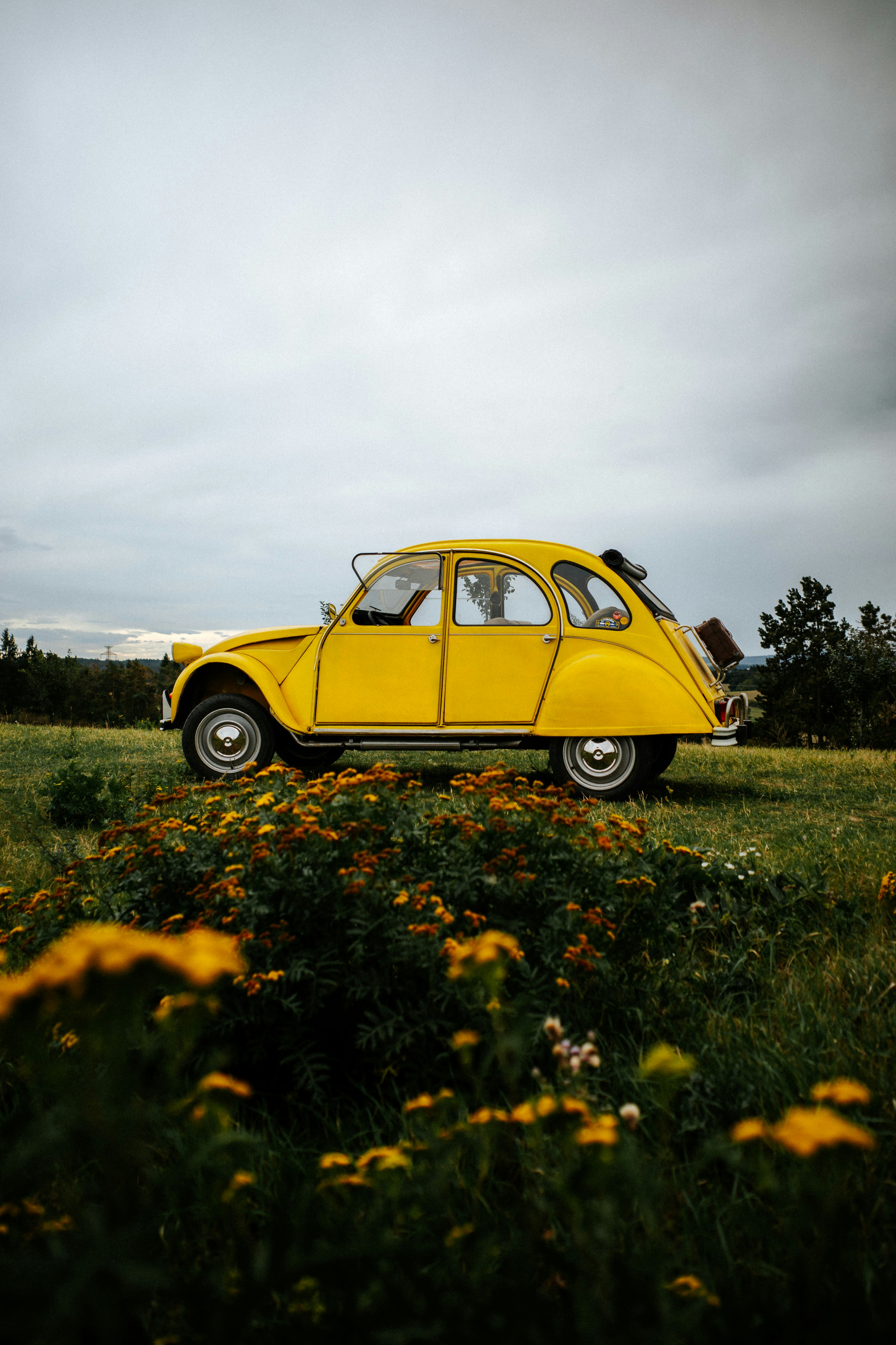 Yellow Citroën on a Wildflower Field: Bright Contrast in a Quiet Landscape