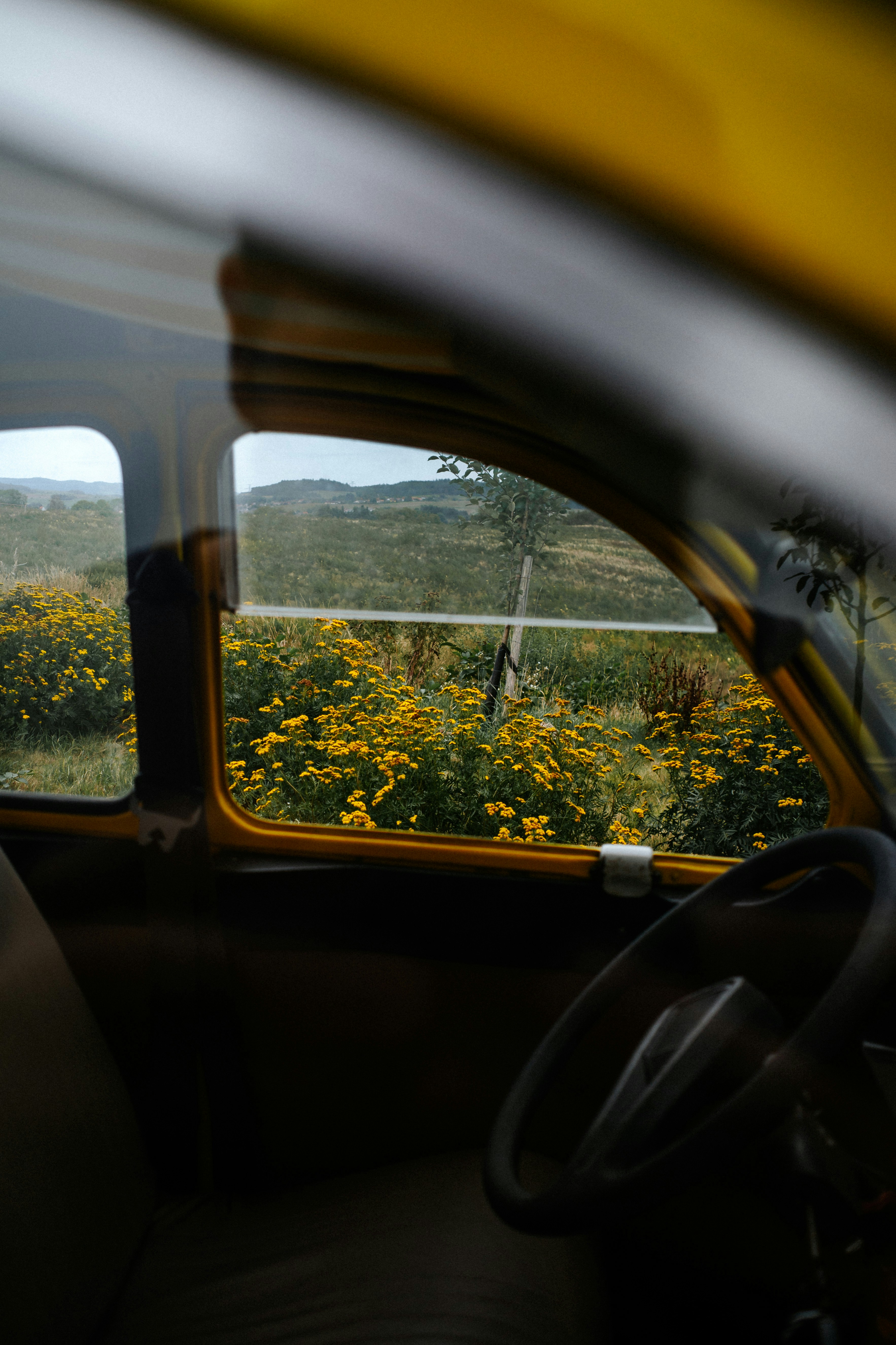Yellow meadow through the vintage car window