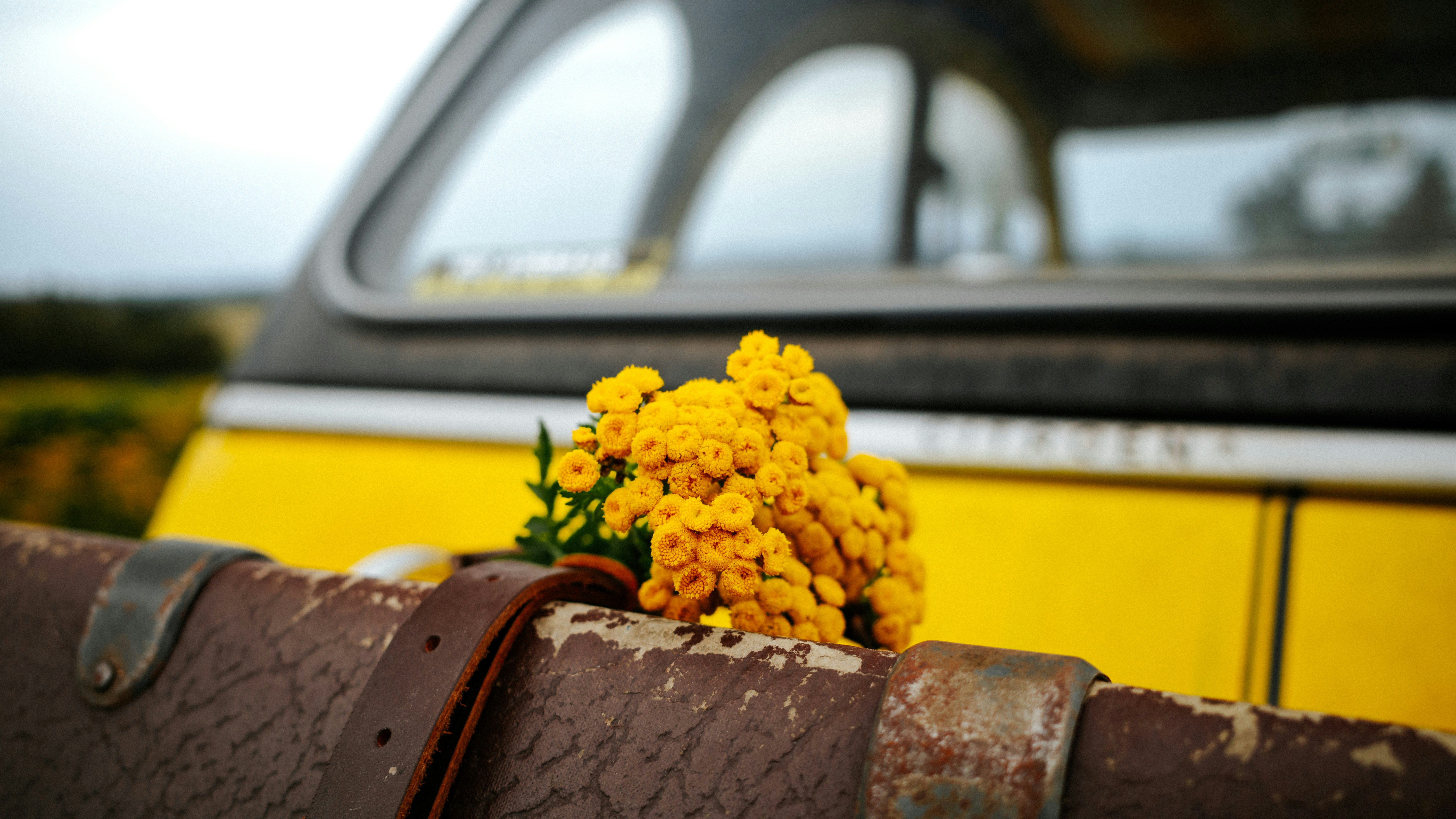 Yellow Bouquet Resting on a Weathered Car Trunk