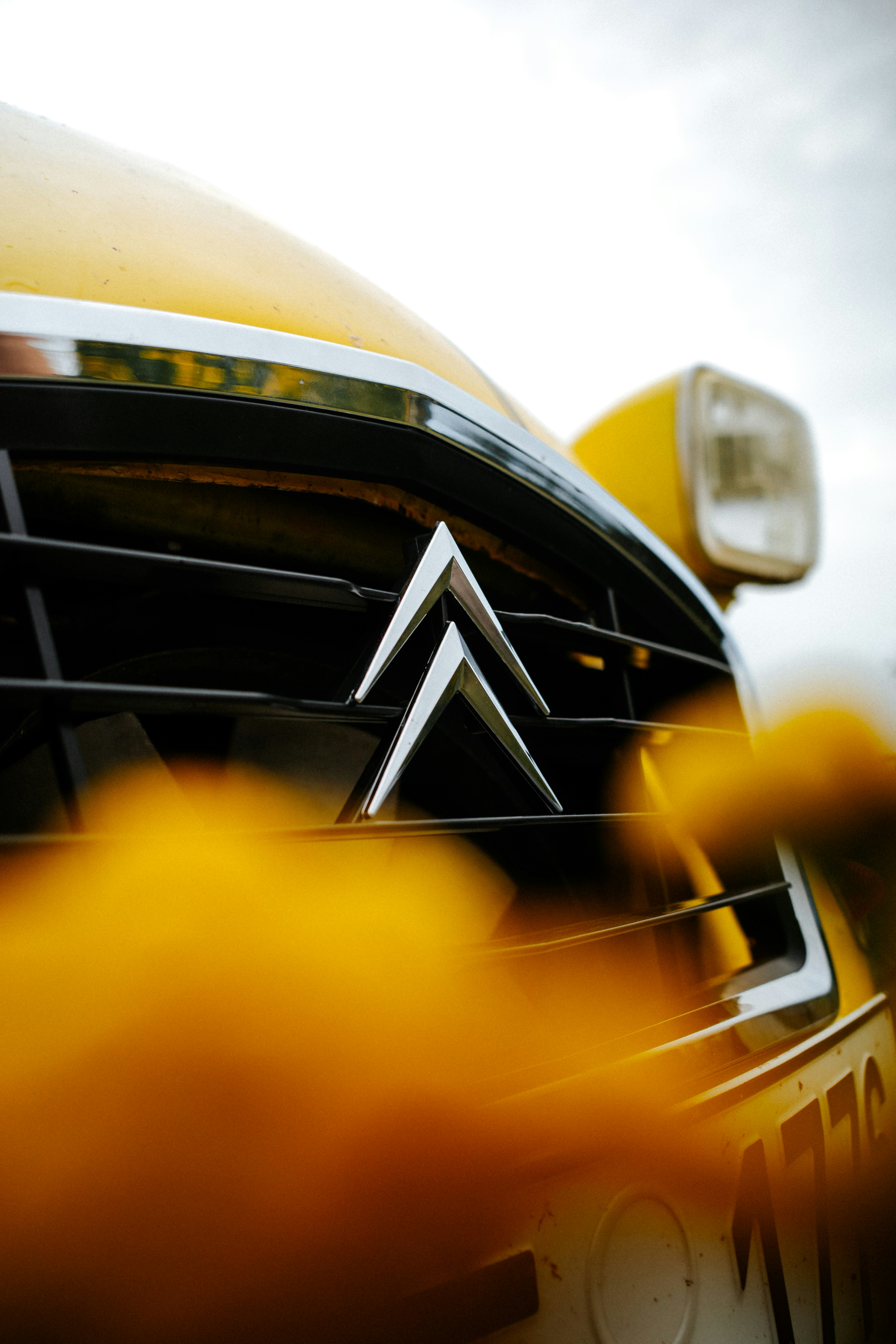 Chrome Emblem in the Yellow Hood: A Citroën Moment