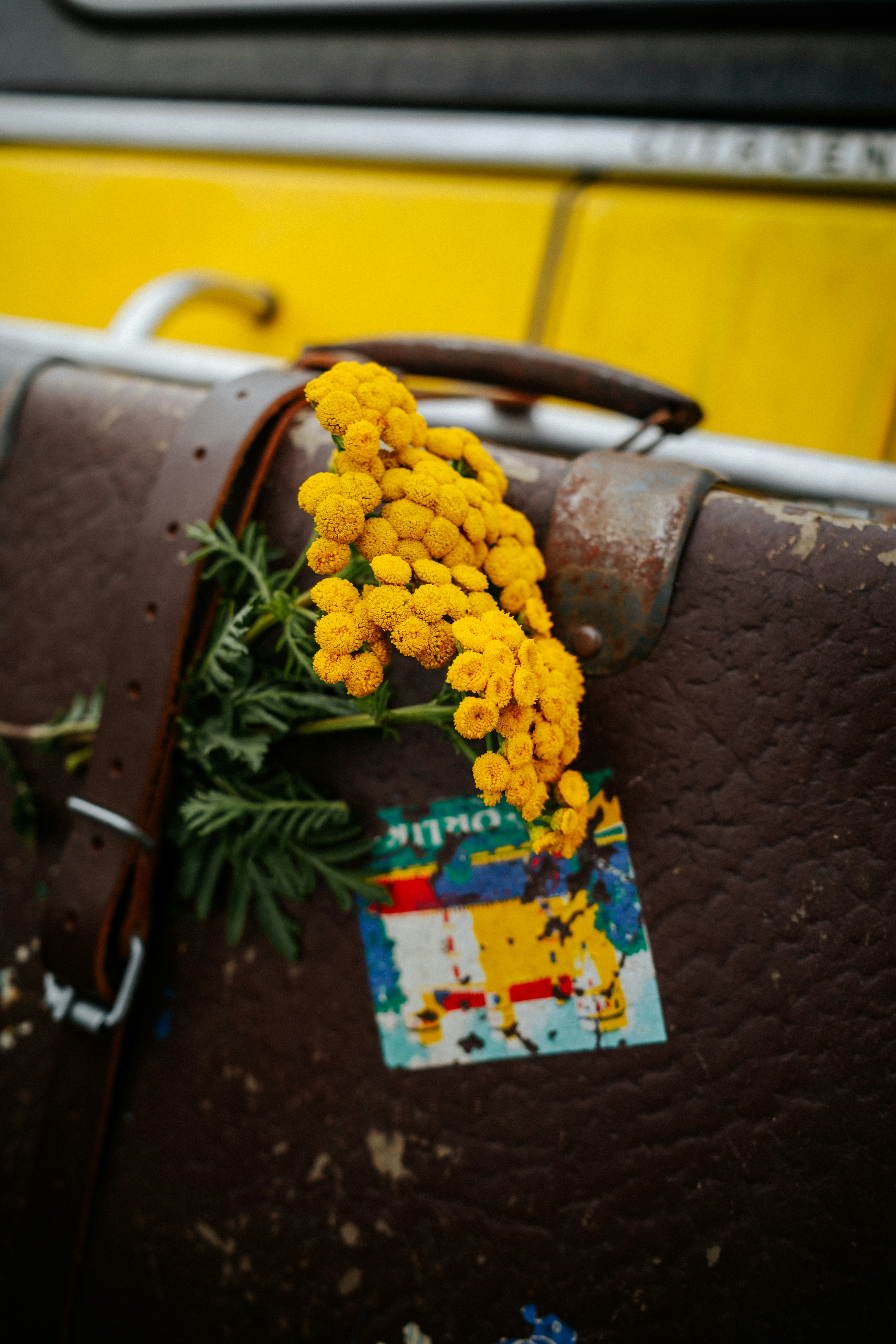 Yellow bouquet on a rusted trunk against a yellow backdrop