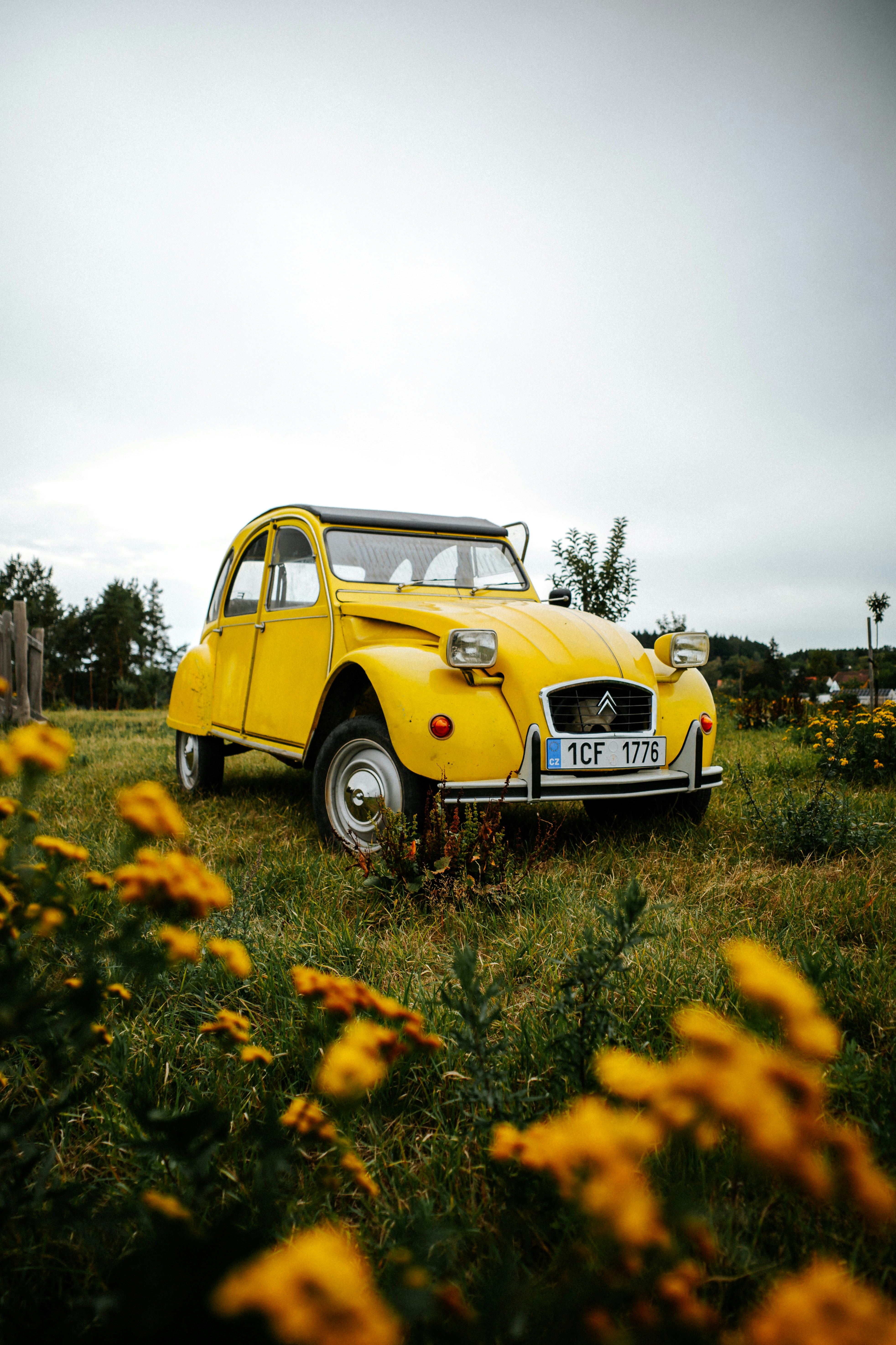 Yellow Citroën in a Meadow of Sunlit Daisies