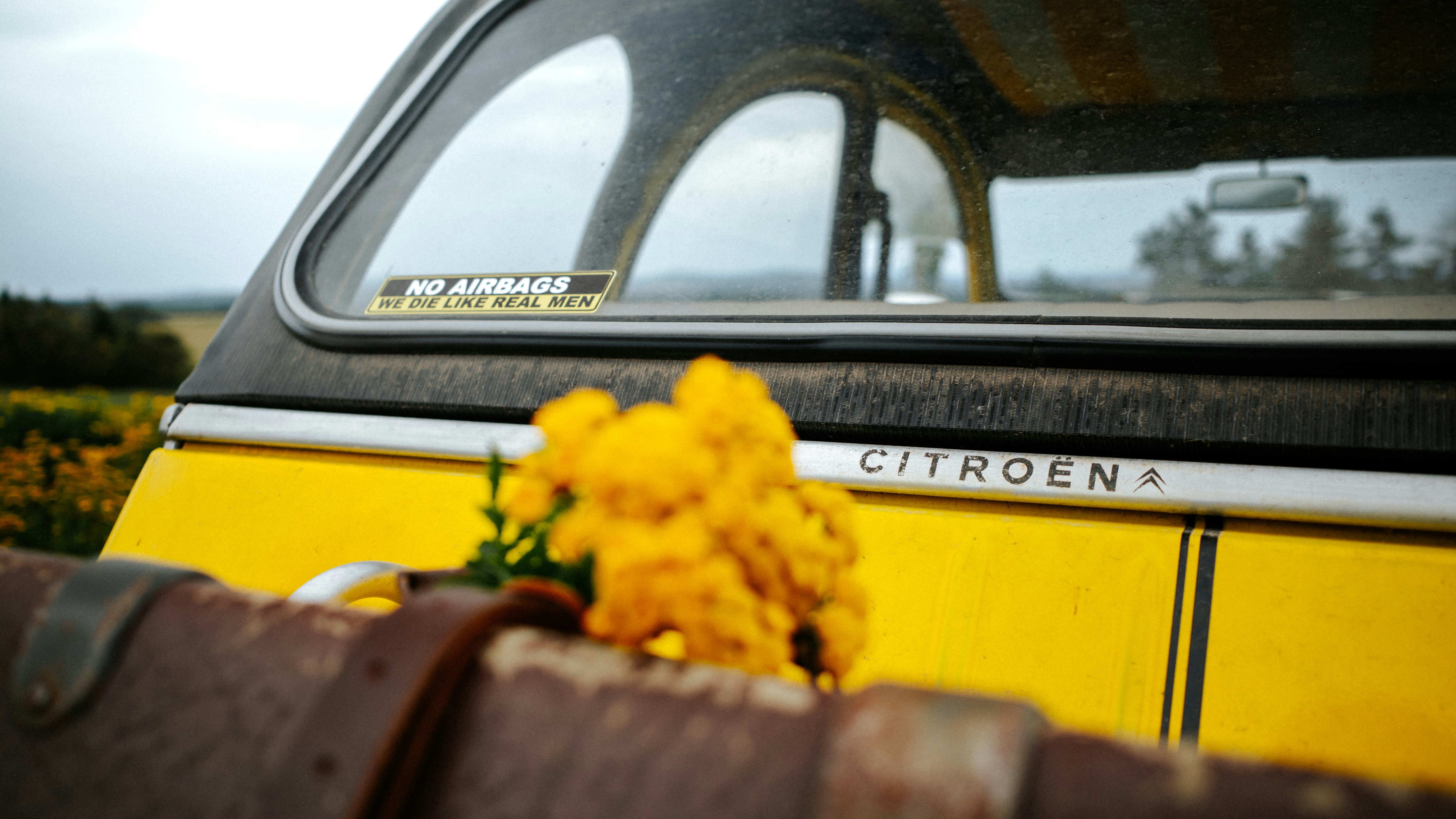 Yellow Citroën Echo: A Bouquet on a Classic Bumper