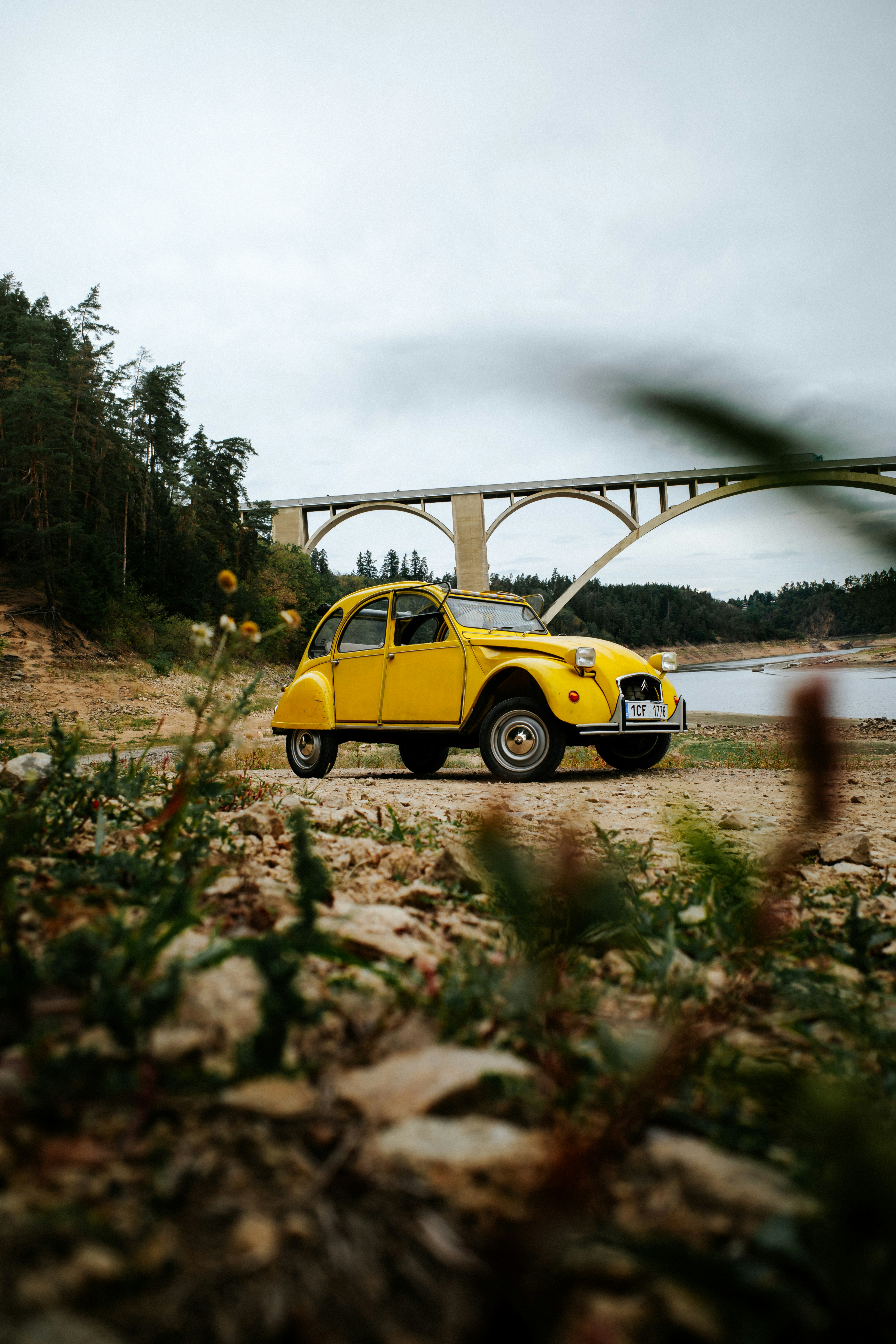 Yellow Beetle on the Shoreline Under a Concrete Arch